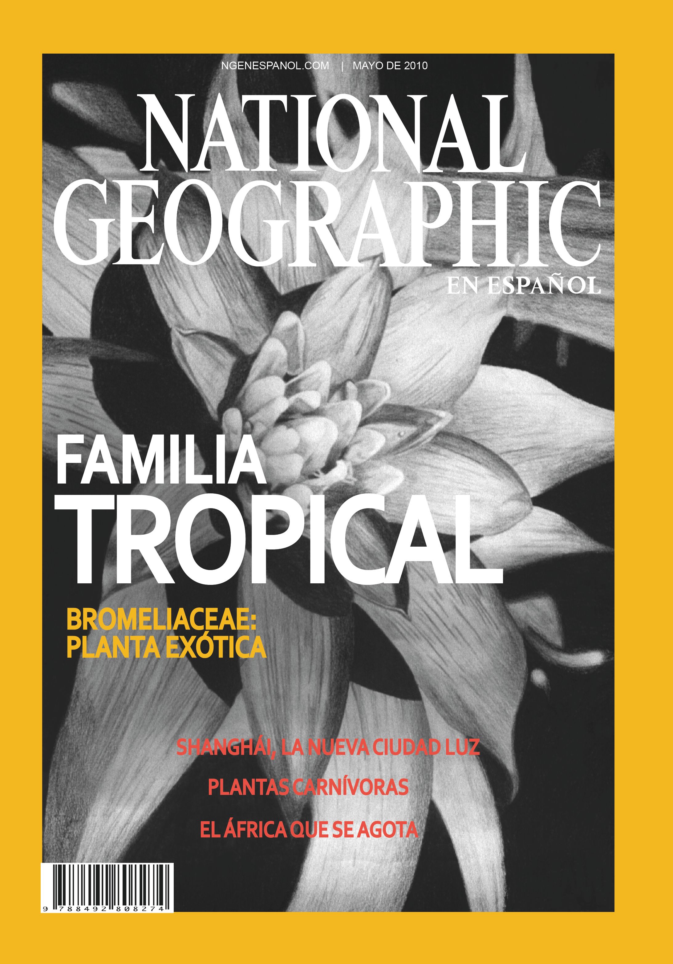 Trabajos en Indesign | Domestika