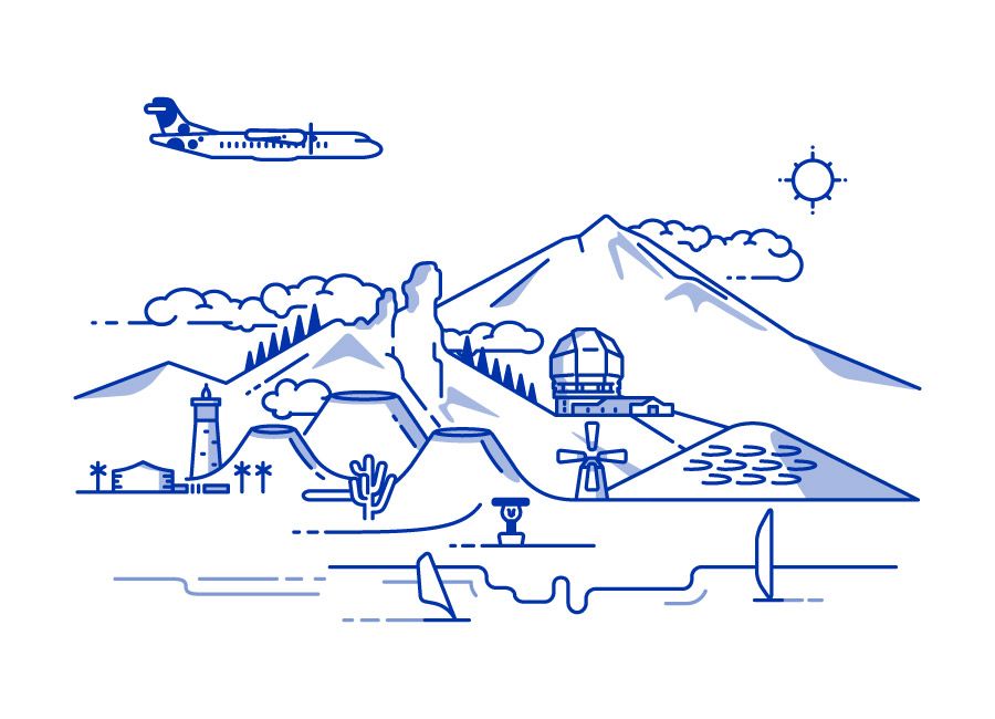 Mosca canaria | Domestika