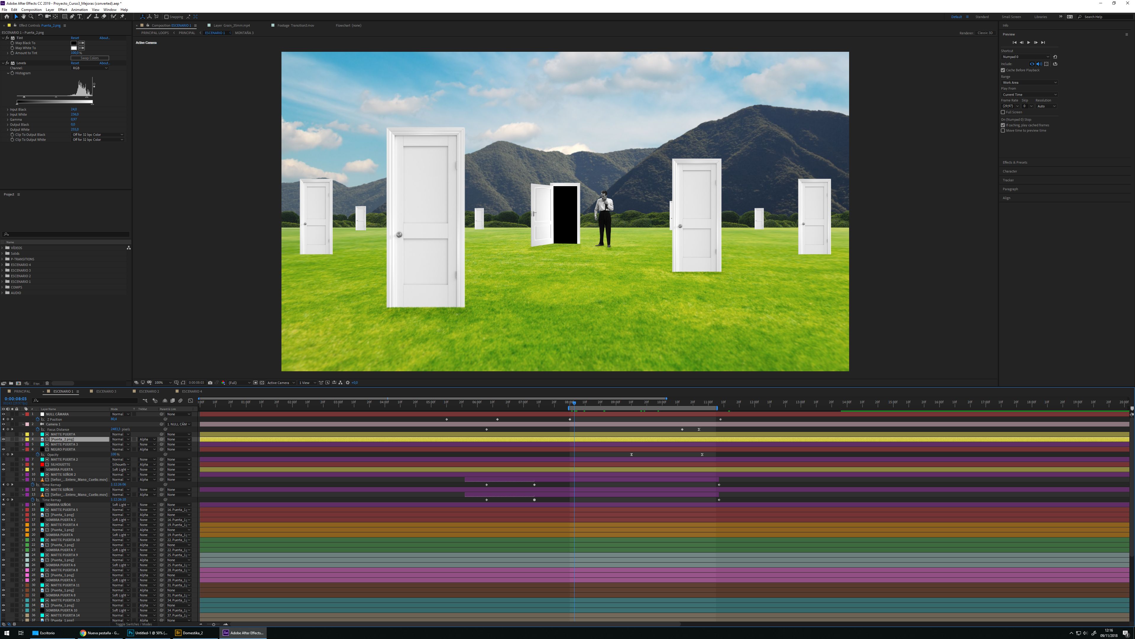 Proyecto del curso "Collage animado con Adobe After Effects". | Domestika