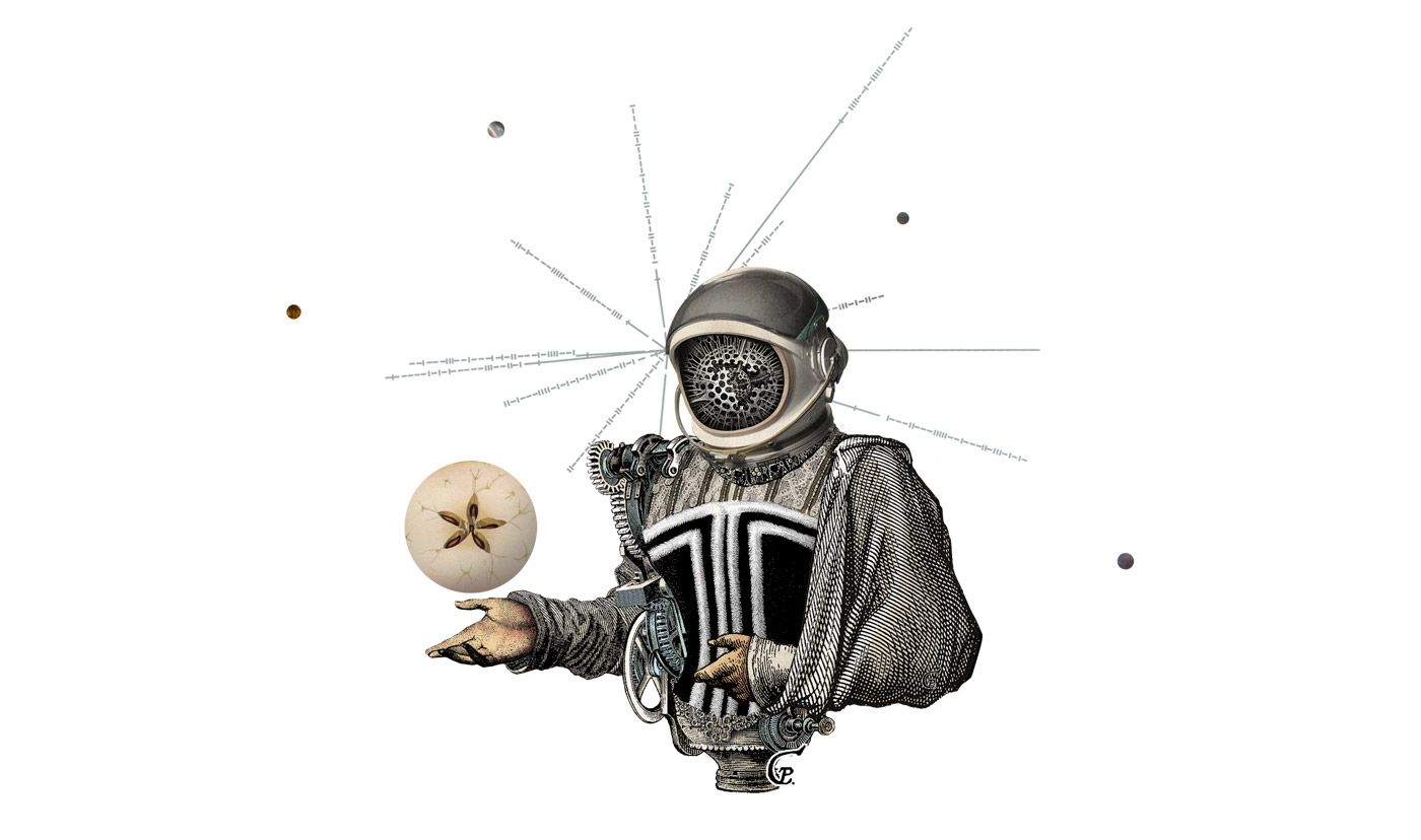 Curiosity, cover design | Domestika