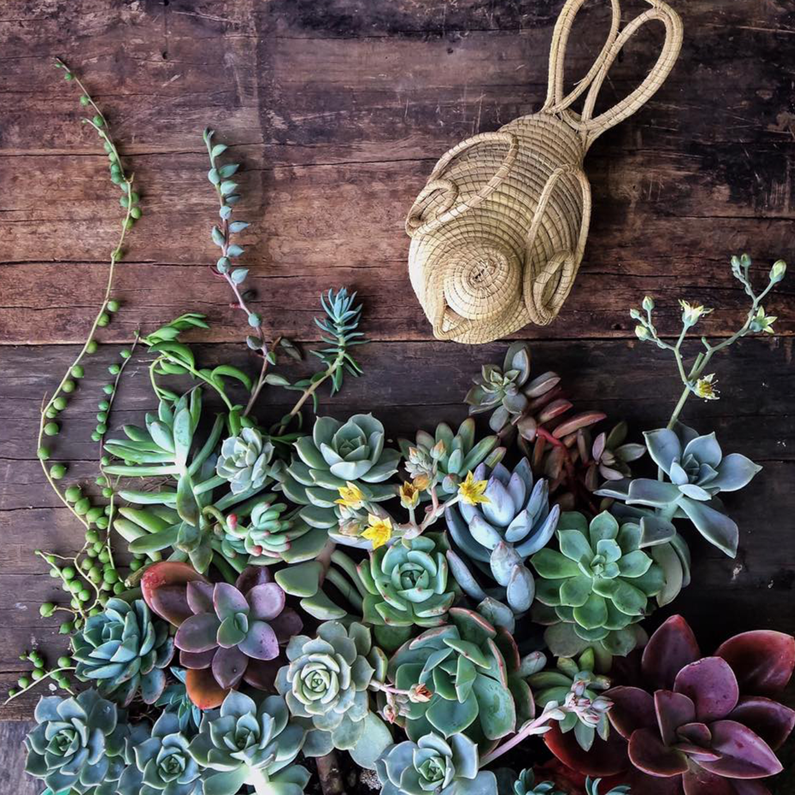 Design and Composition Ideas to Create Living Botanical Décors | Domestika