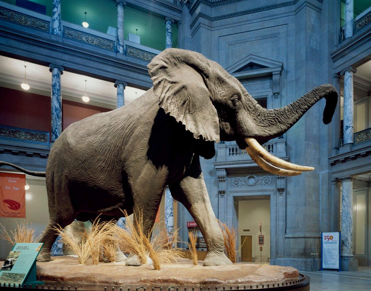 20 Museums You Can Visit Online | Domestika