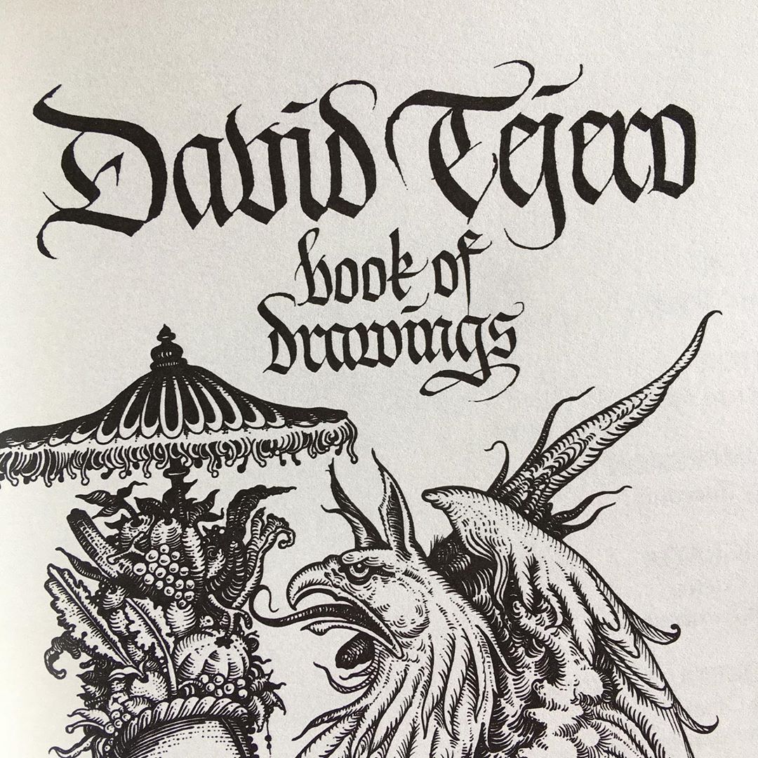 14 Lettering and Calligraphy Artists That Will Inspire You | Domestika