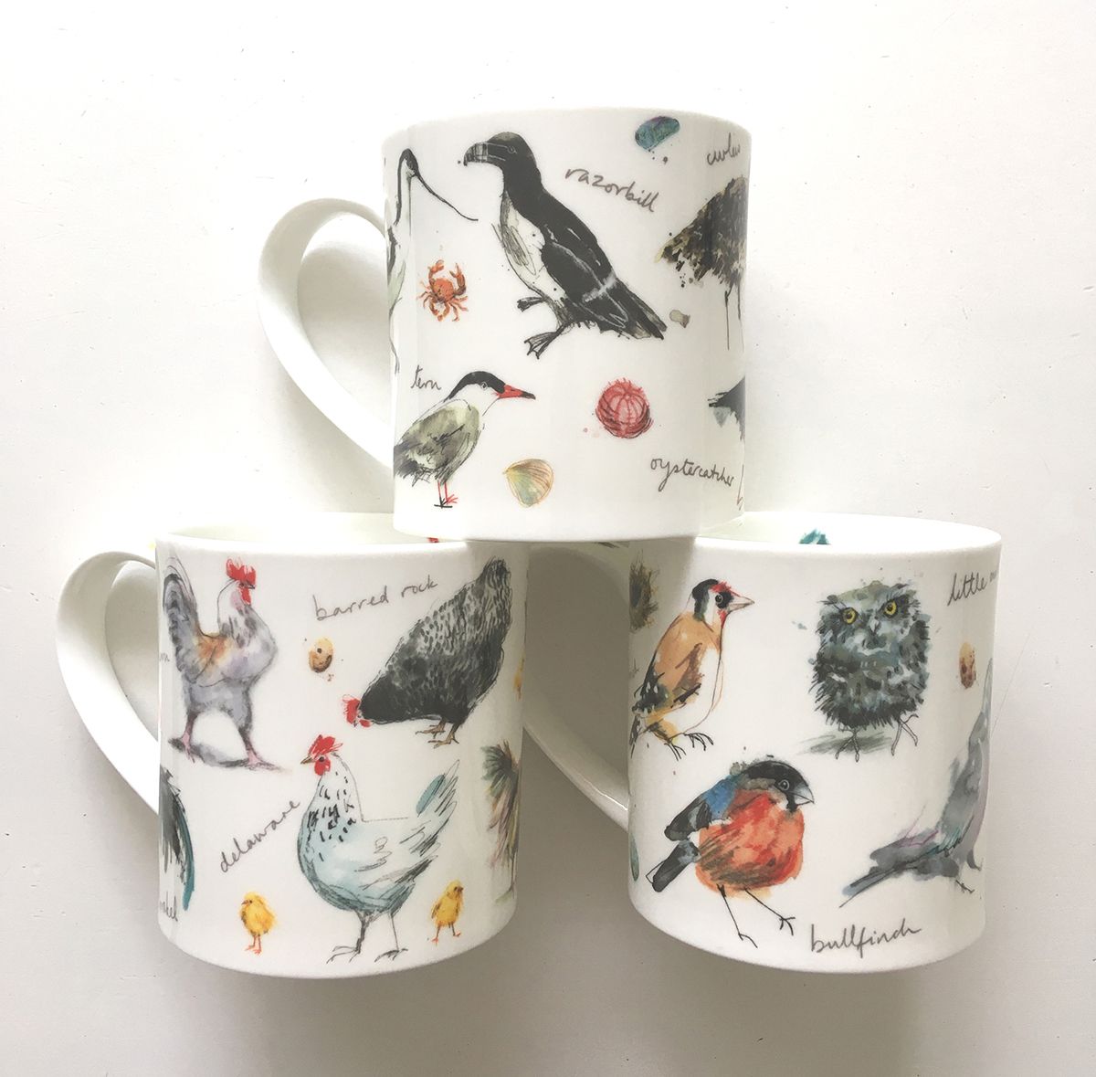 Coastal Birds | Domestika