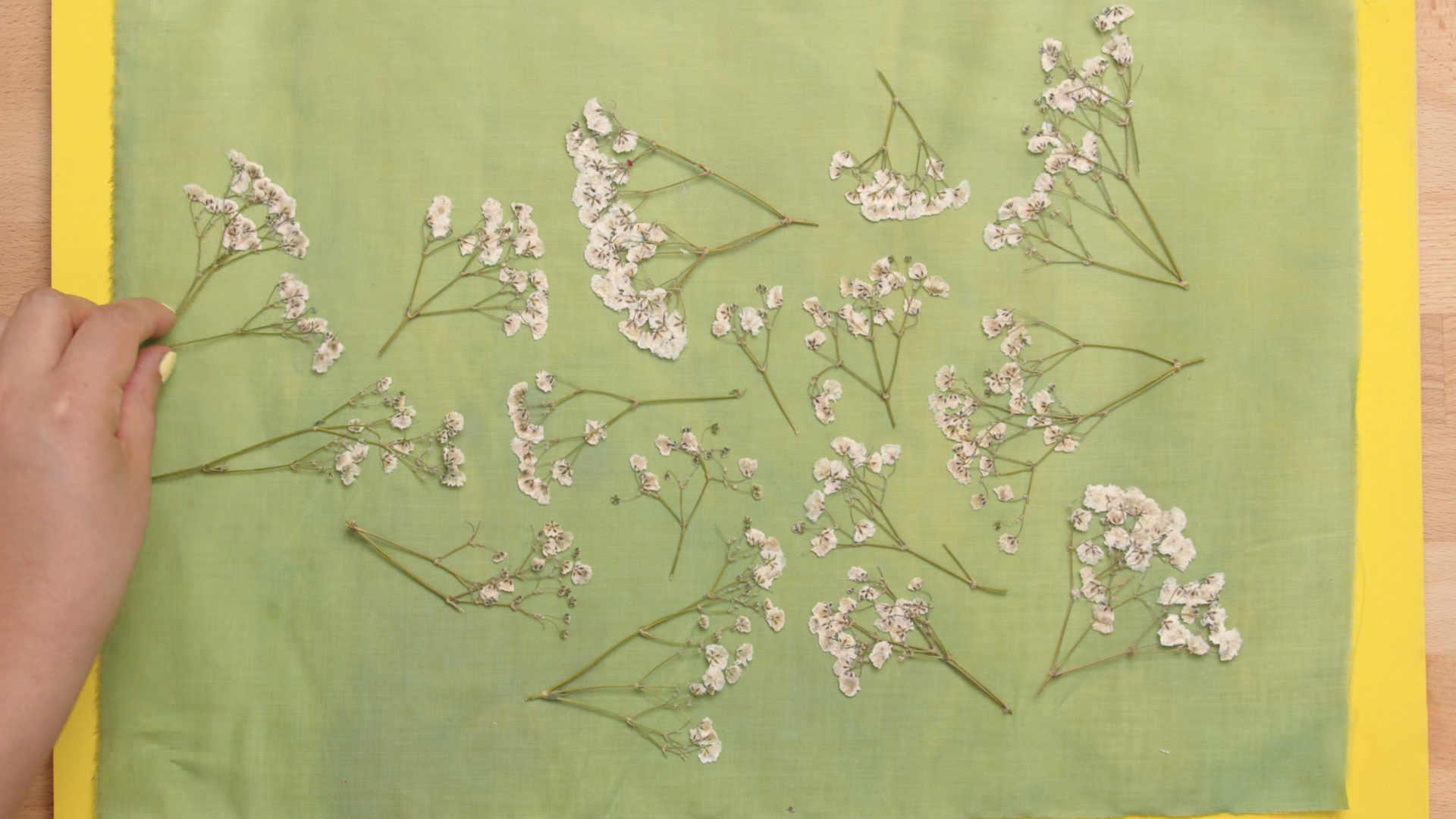 Cyanotype Tutorial: Printing with Leaves and Flowers | Domestika