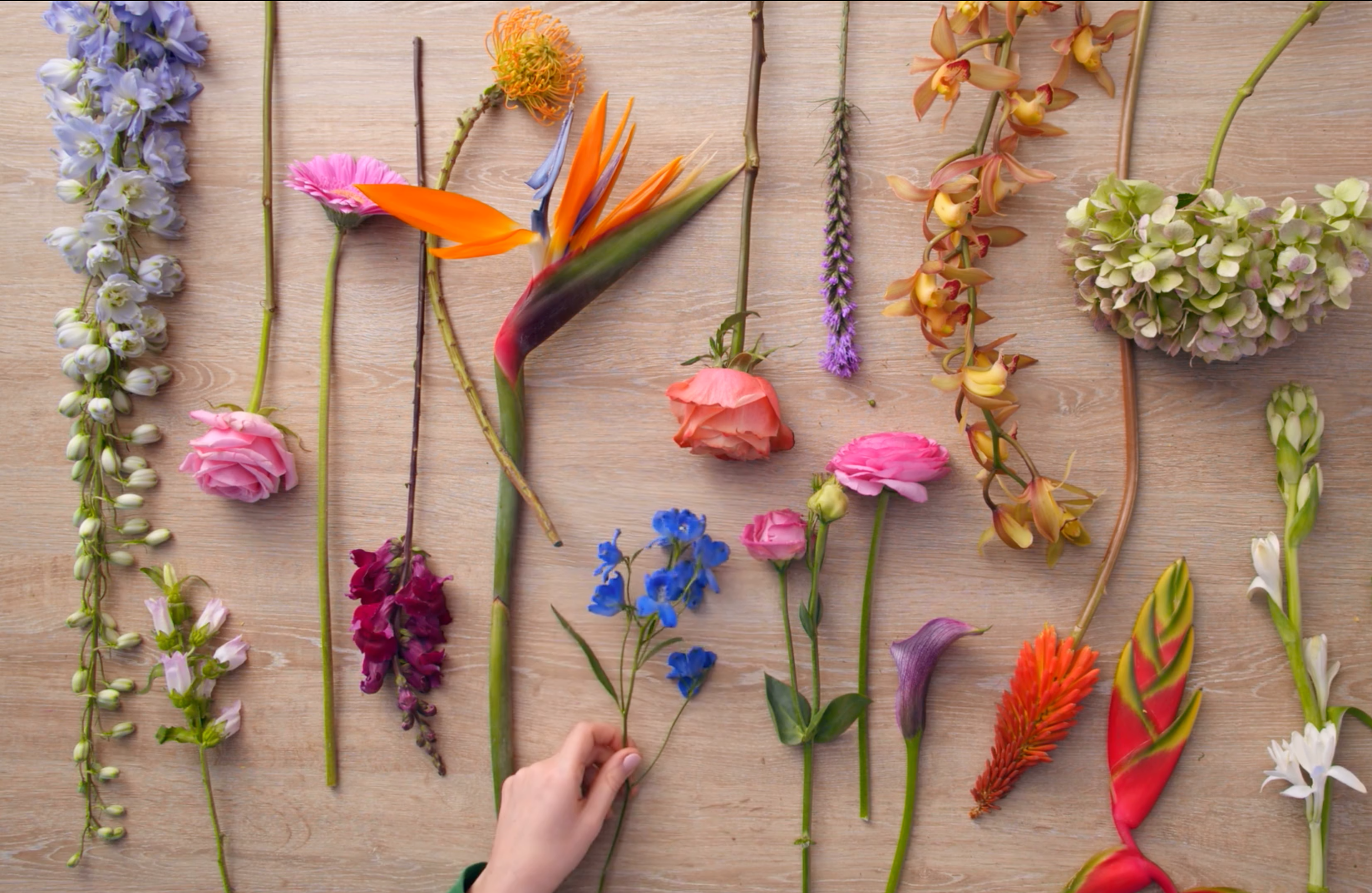 Free Download: A Color Theory Guide for Floral Compositions | Domestika