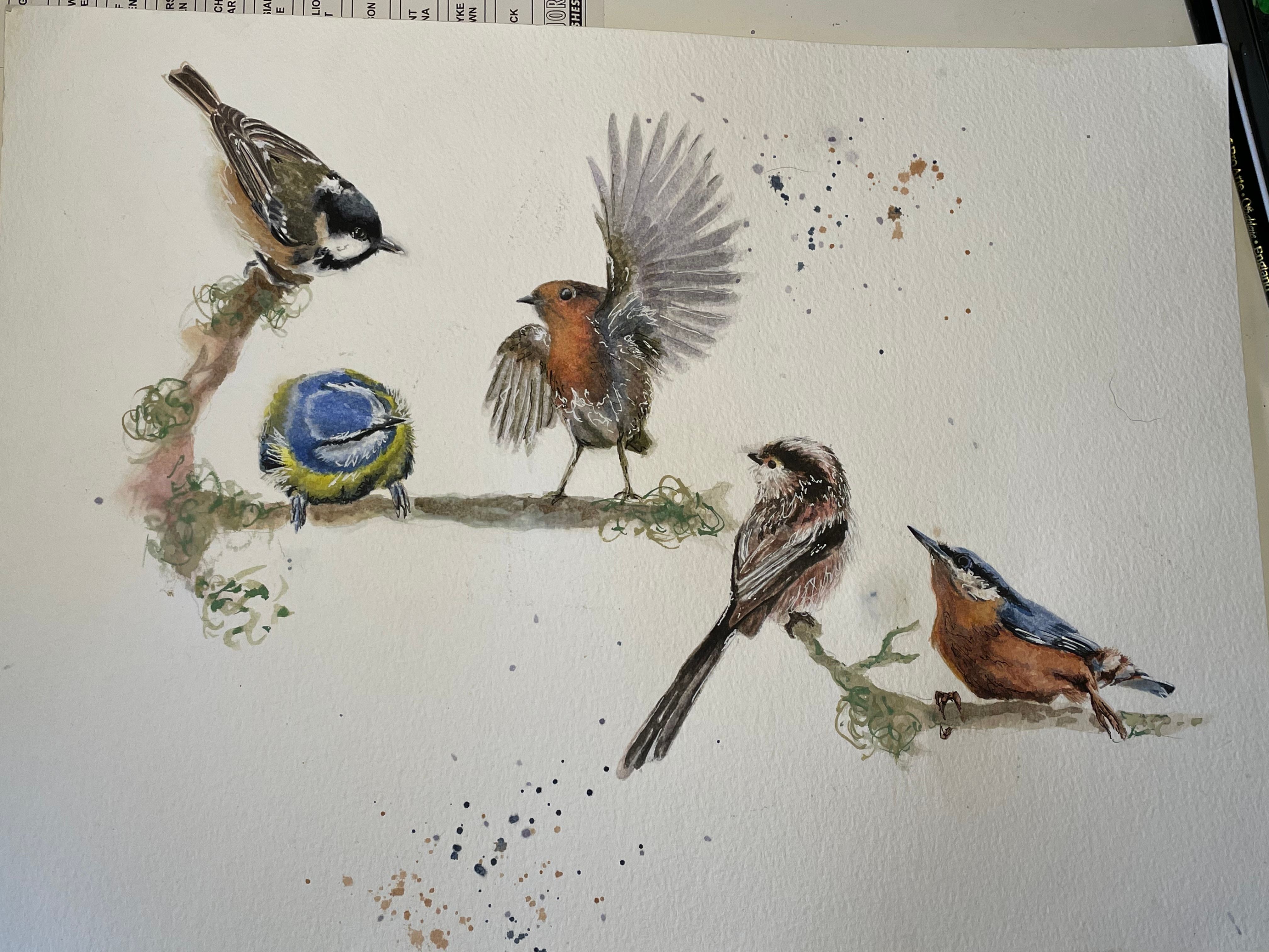 Sarah stokes watercolour birds | Domestika