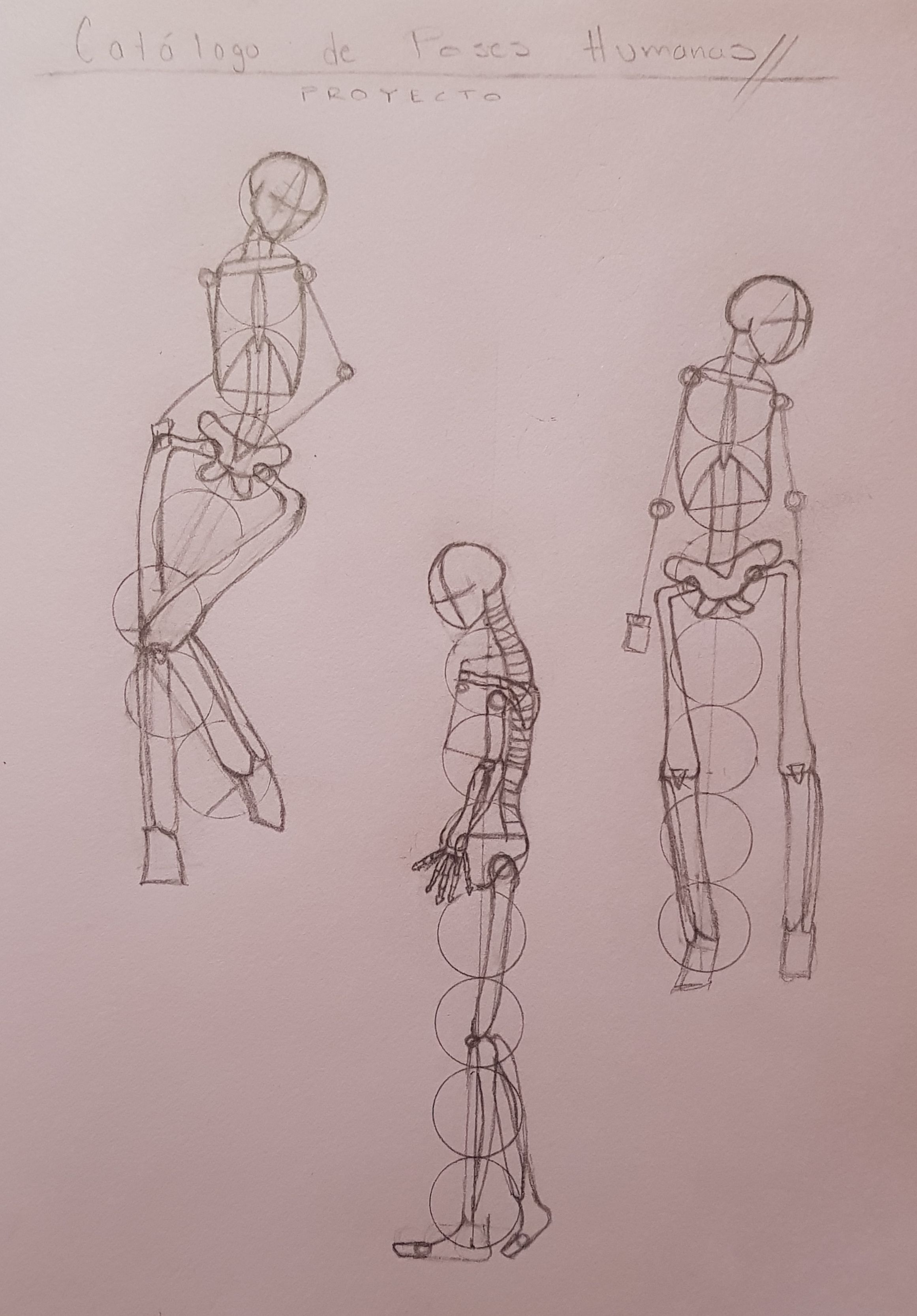 Poses Humanas Según su Anatomía | Domestika