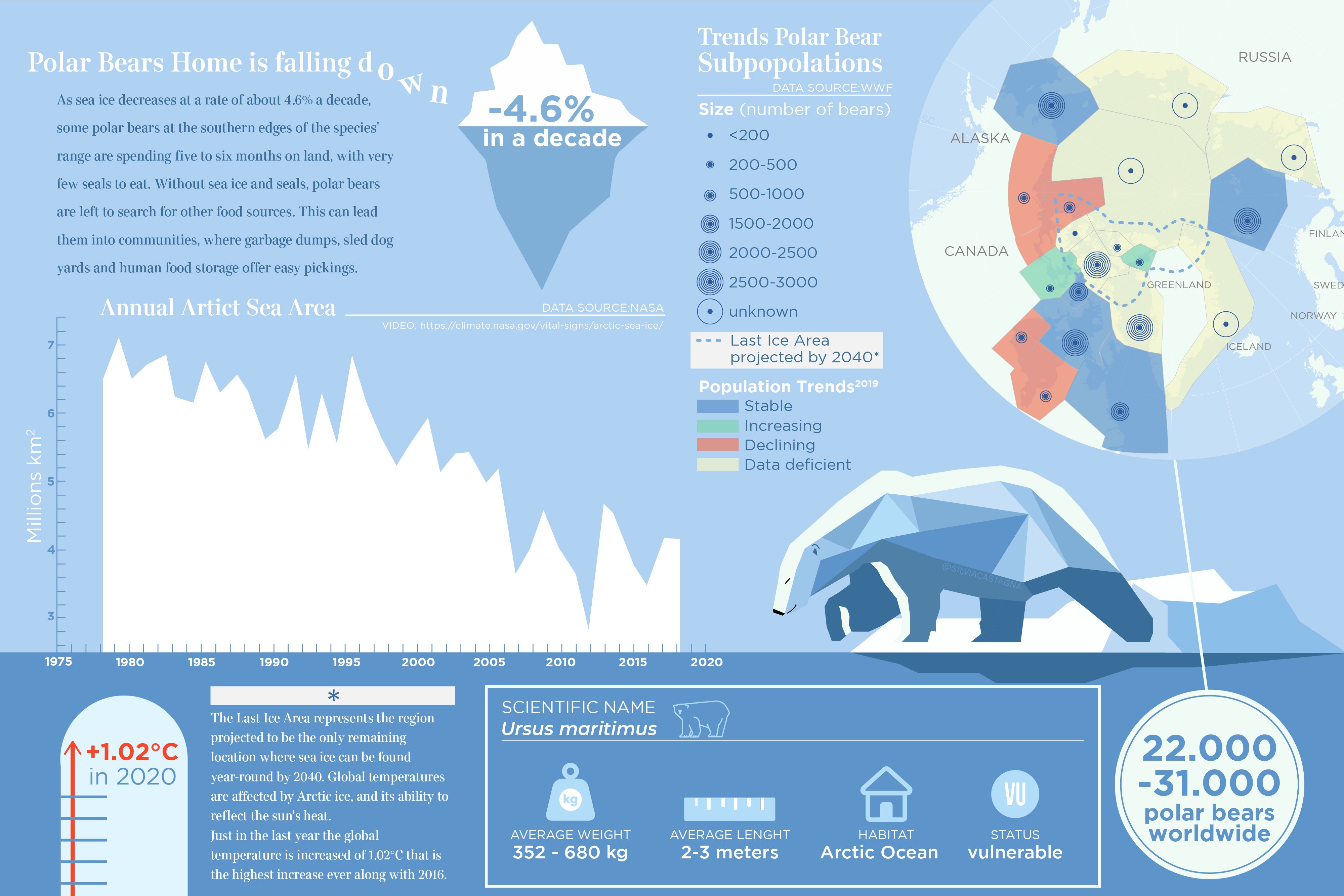 Final Project: Climate Change and Polar Bears | Domestika