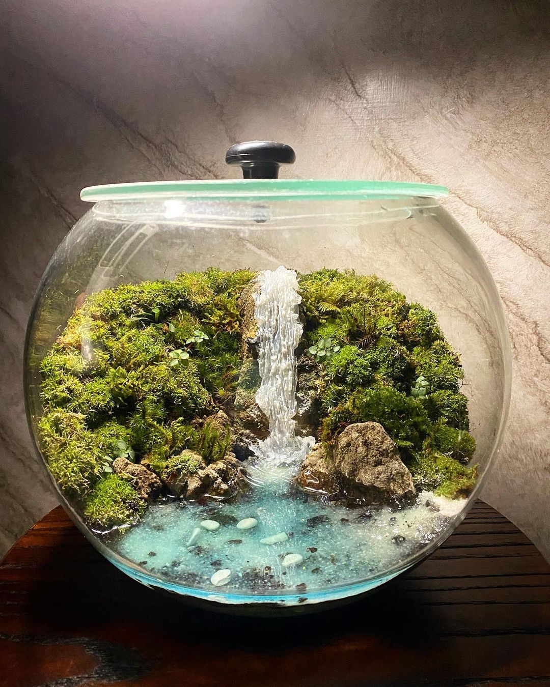 5 Amazing Terrarium Designers You Should Know | Domestika