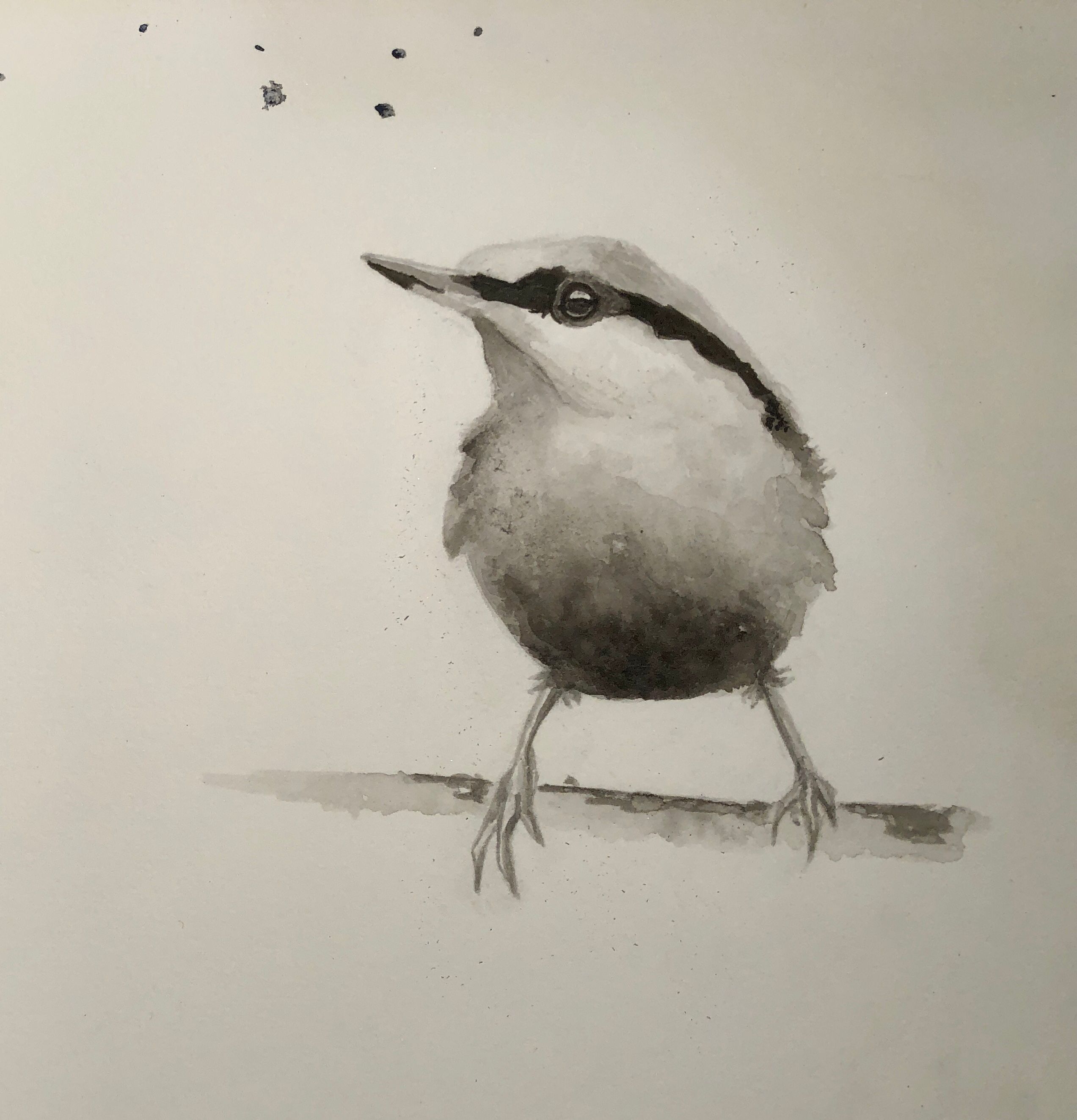 Monochromatic Bird | Domestika