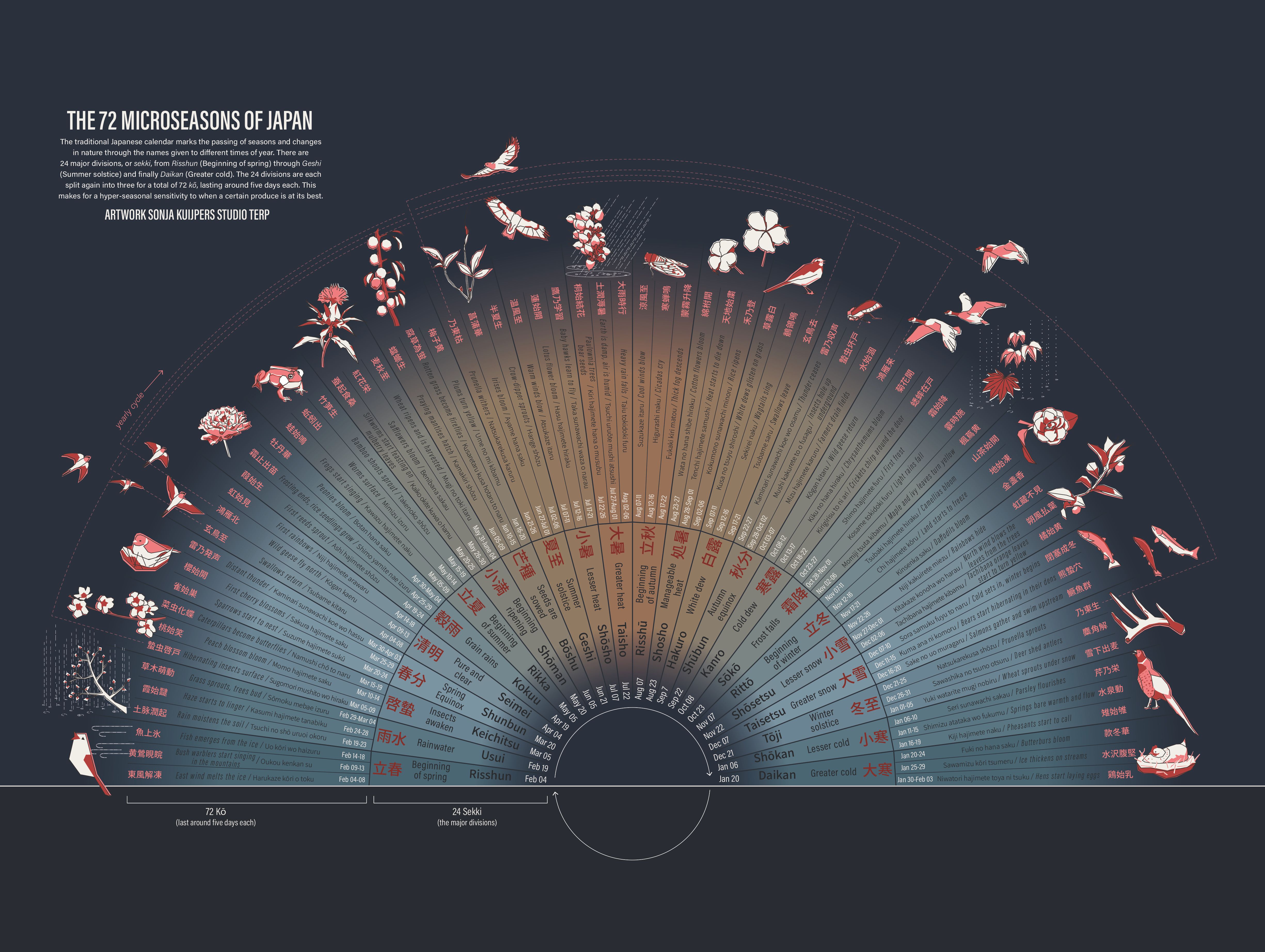 data illustration "the Japanese seasonal calendar" | Domestika