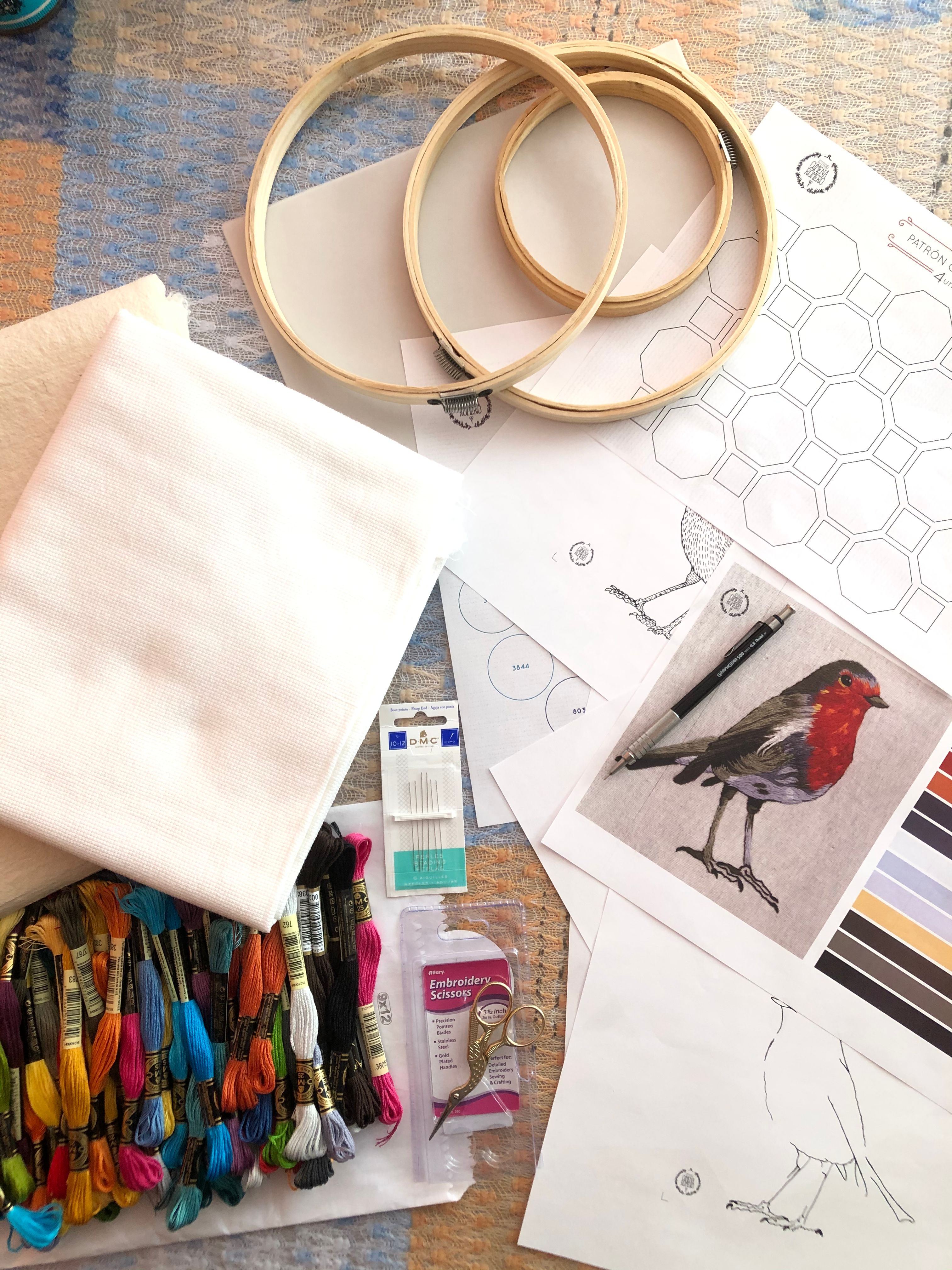 Pintar con Hilo (Técnicas de Ilustración Textil): "Petirrojo" | Domestika