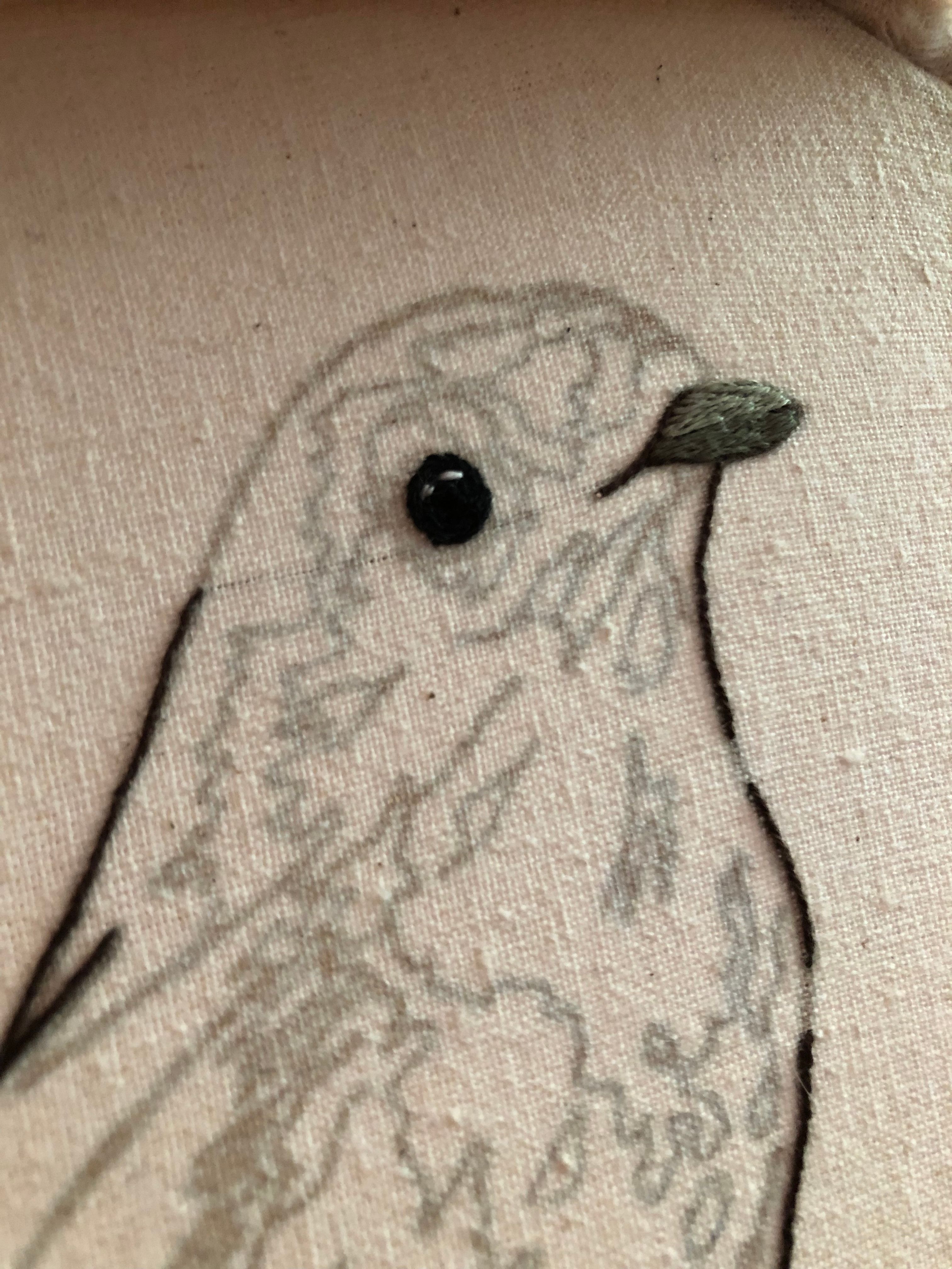 Pintar con Hilo (Técnicas de Ilustración Textil): "Petirrojo" | Domestika