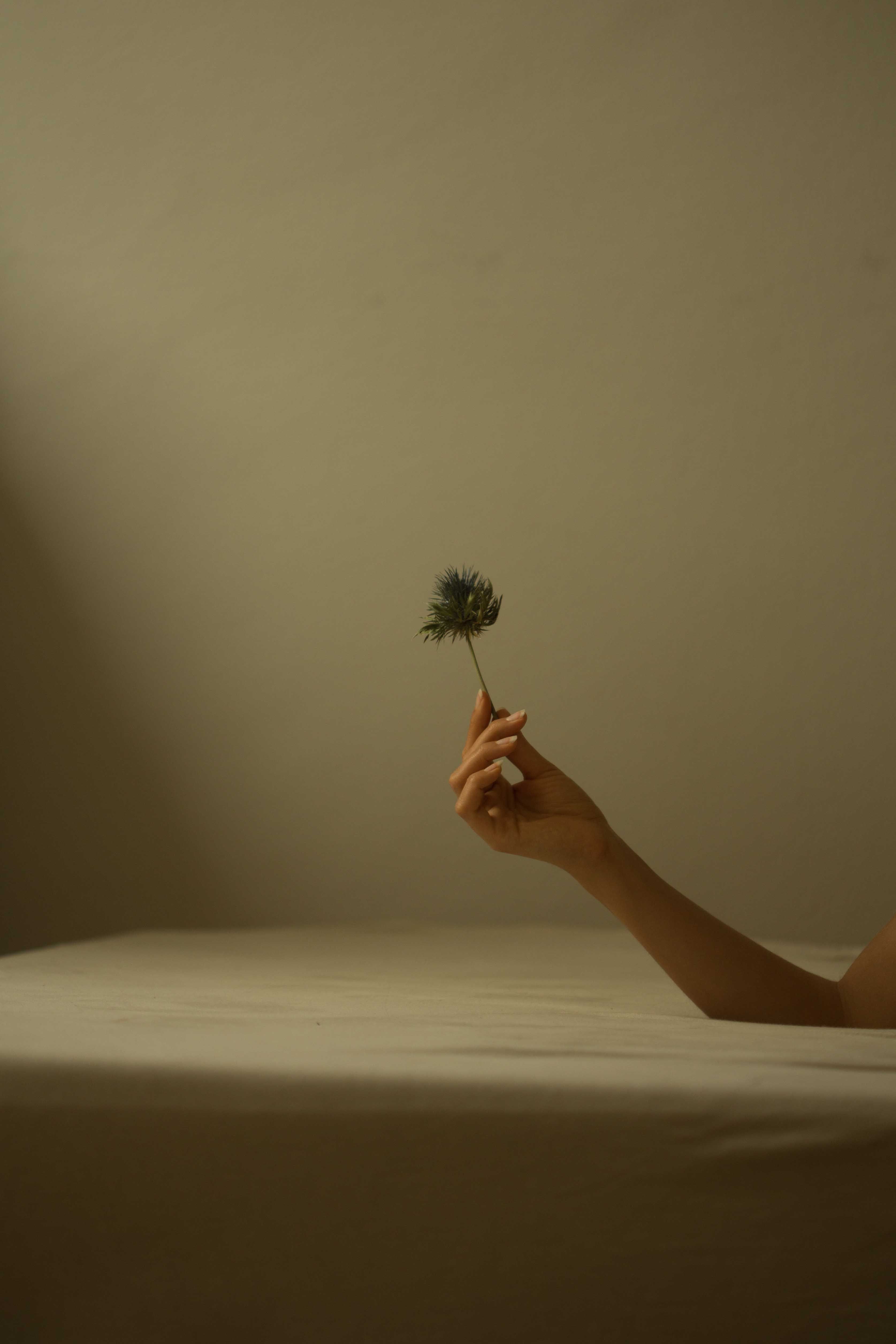 self-portraits | Domestika