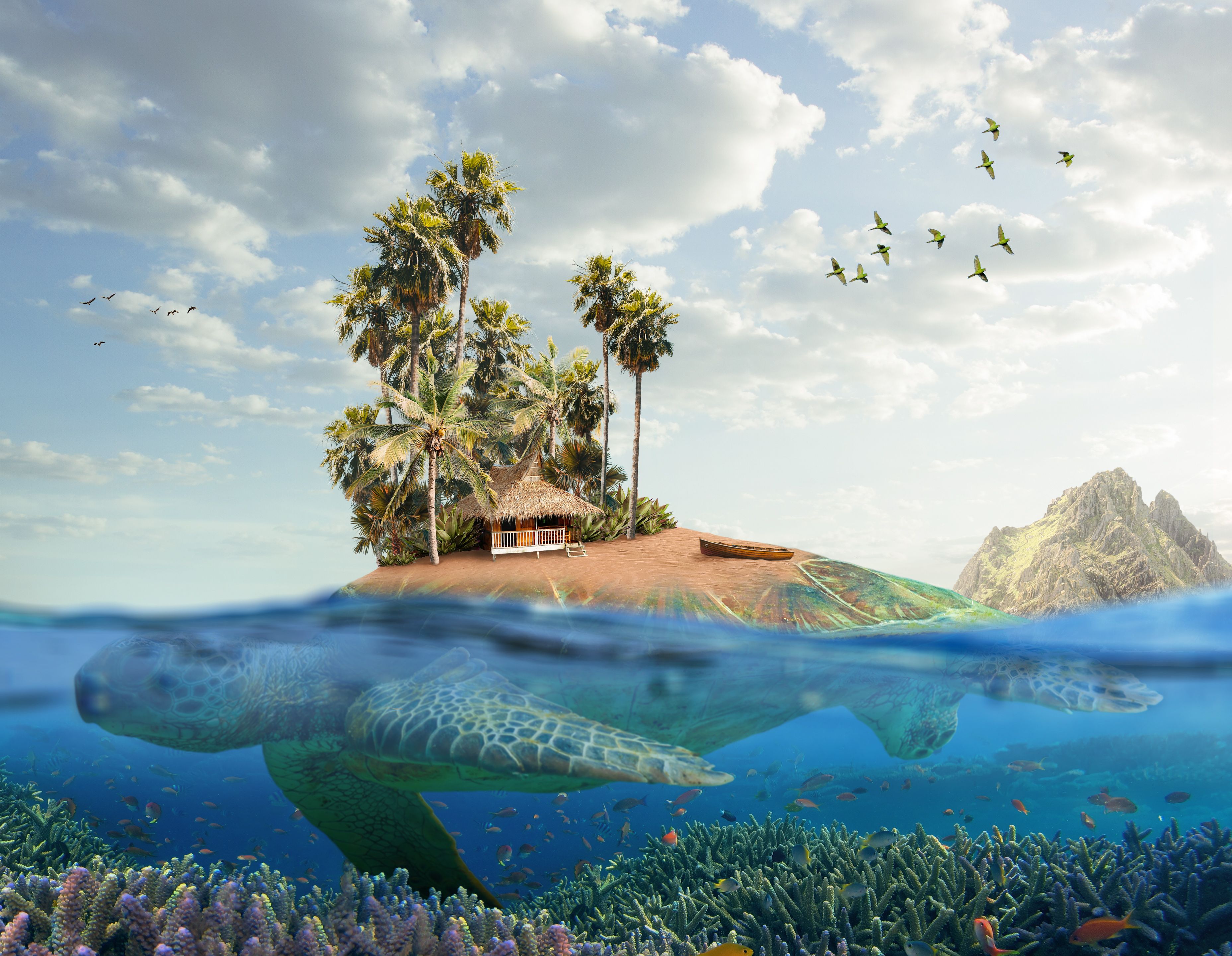 Turtle Island | Domestika