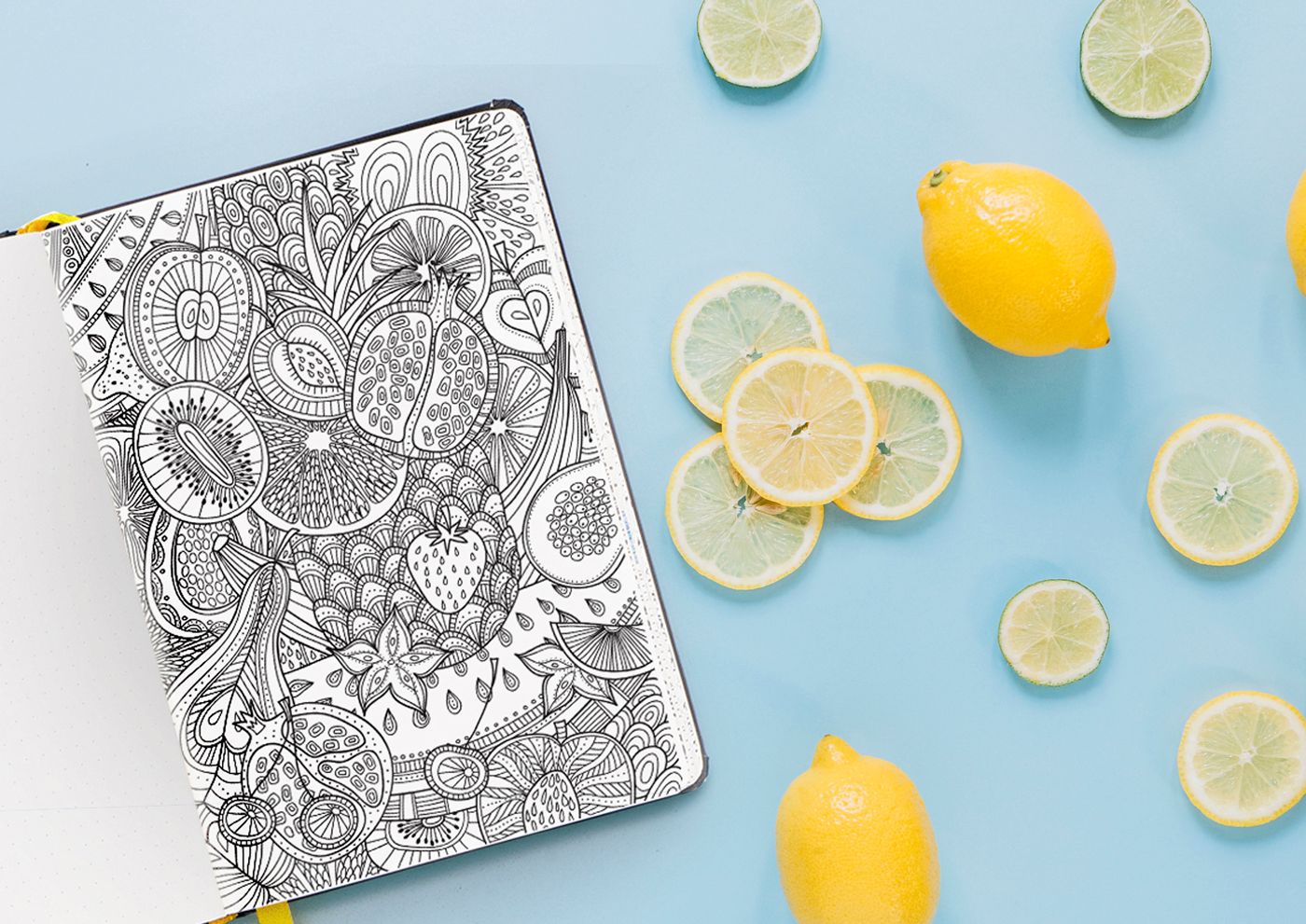 Coloring Notebook Second Edition | Domestika