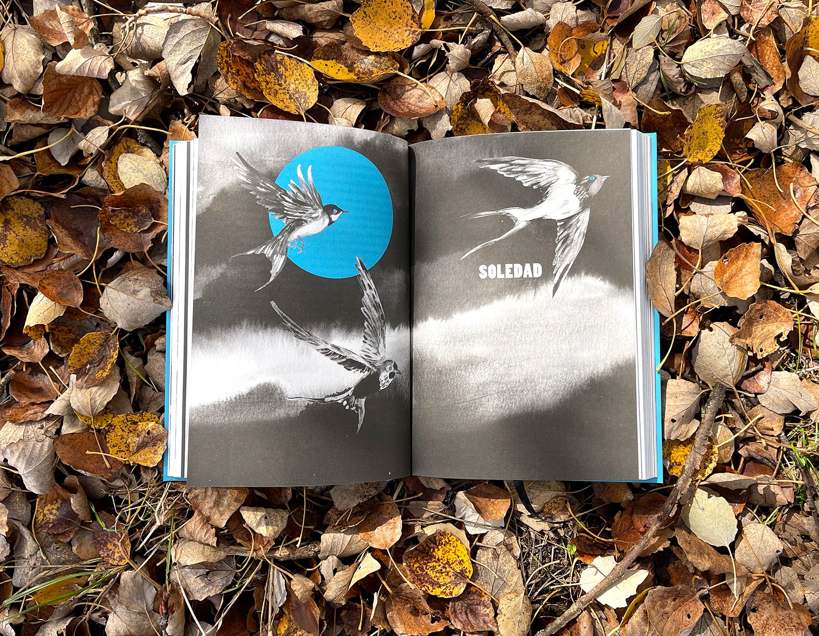 Walden. Thoreau | Domestika
