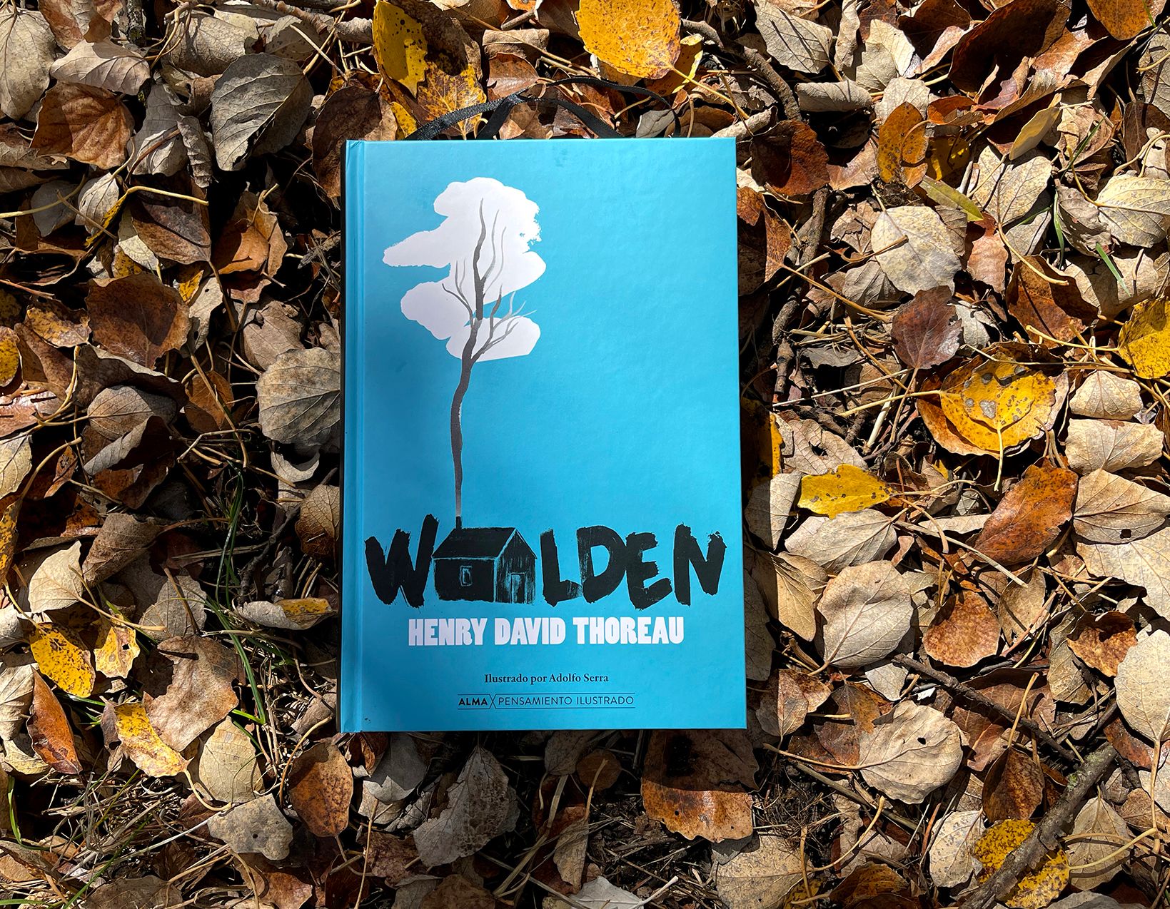 Walden. Thoreau | Domestika