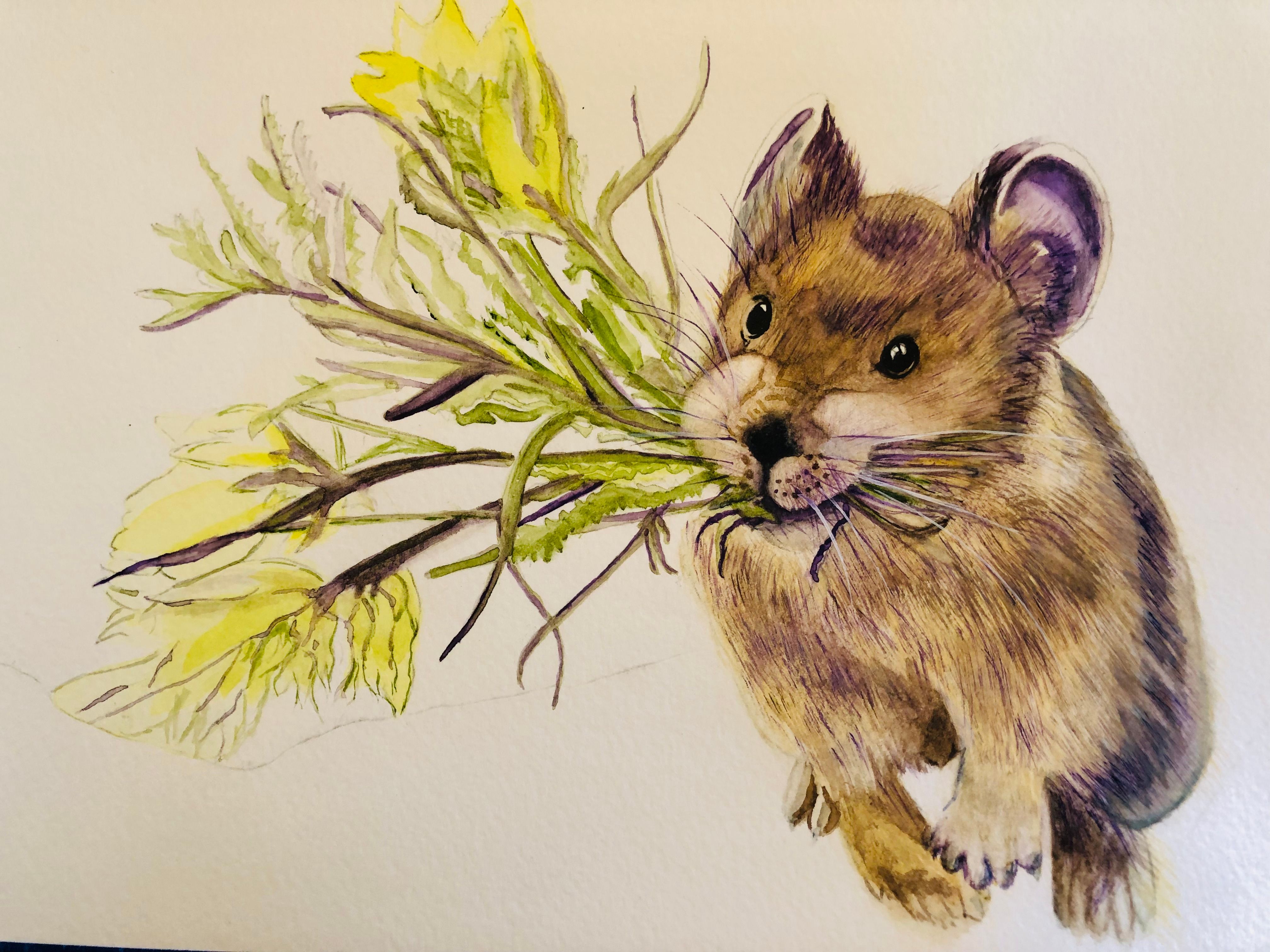 My project in Expressive Animal Portraits in Watercolor course | Domestika