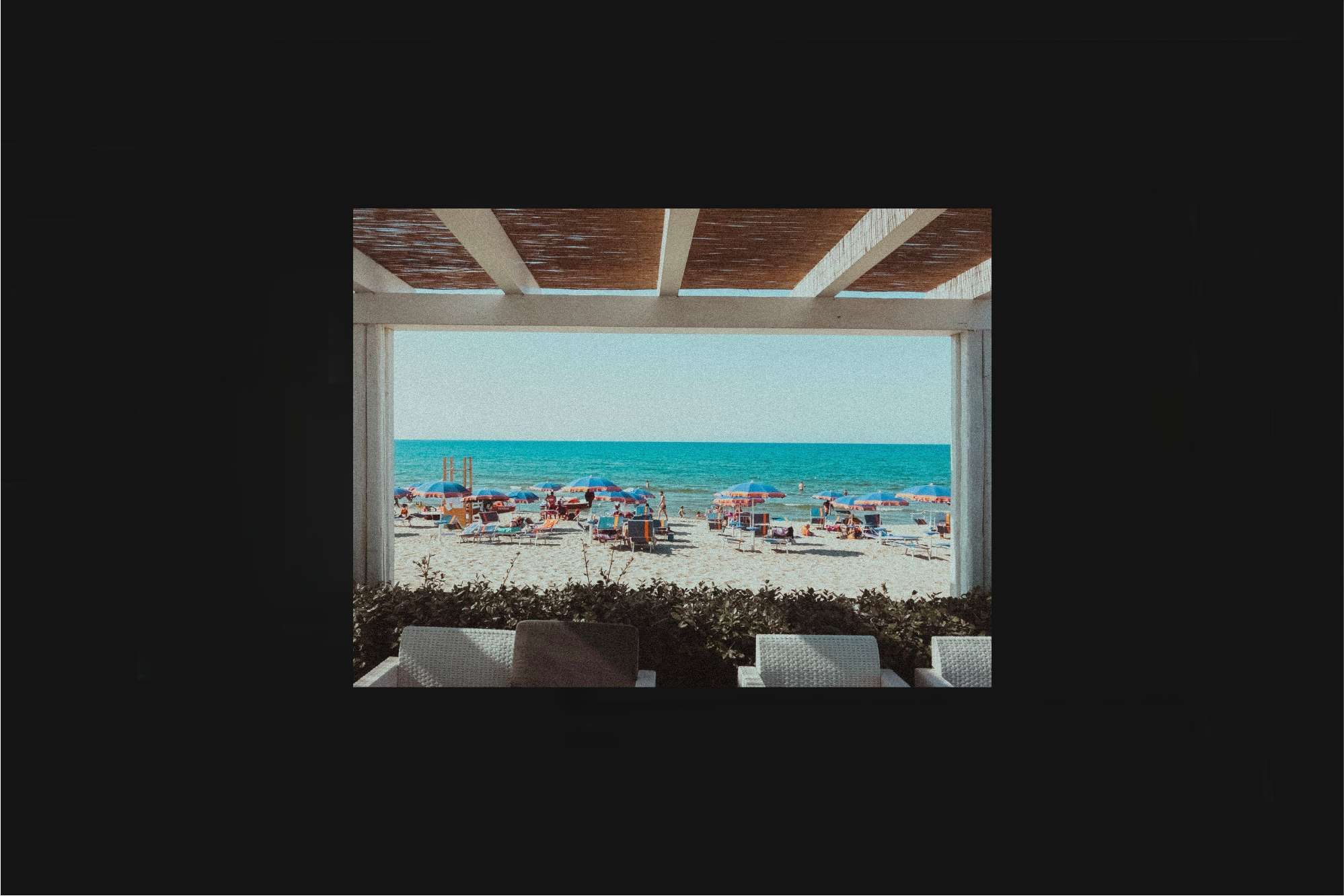 Shark Bar | Domestika