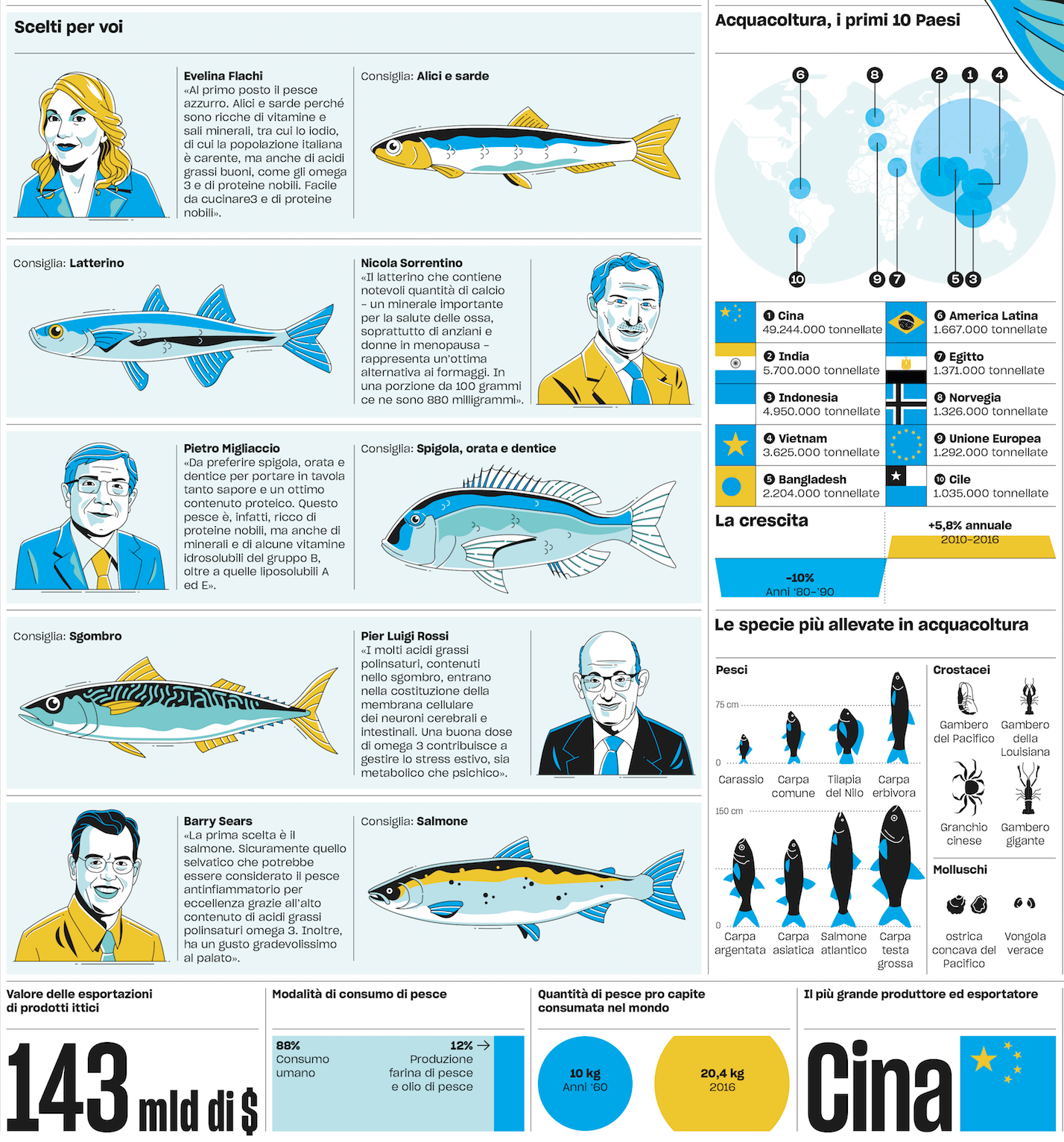 Fish World, LIVE magazine | Domestika