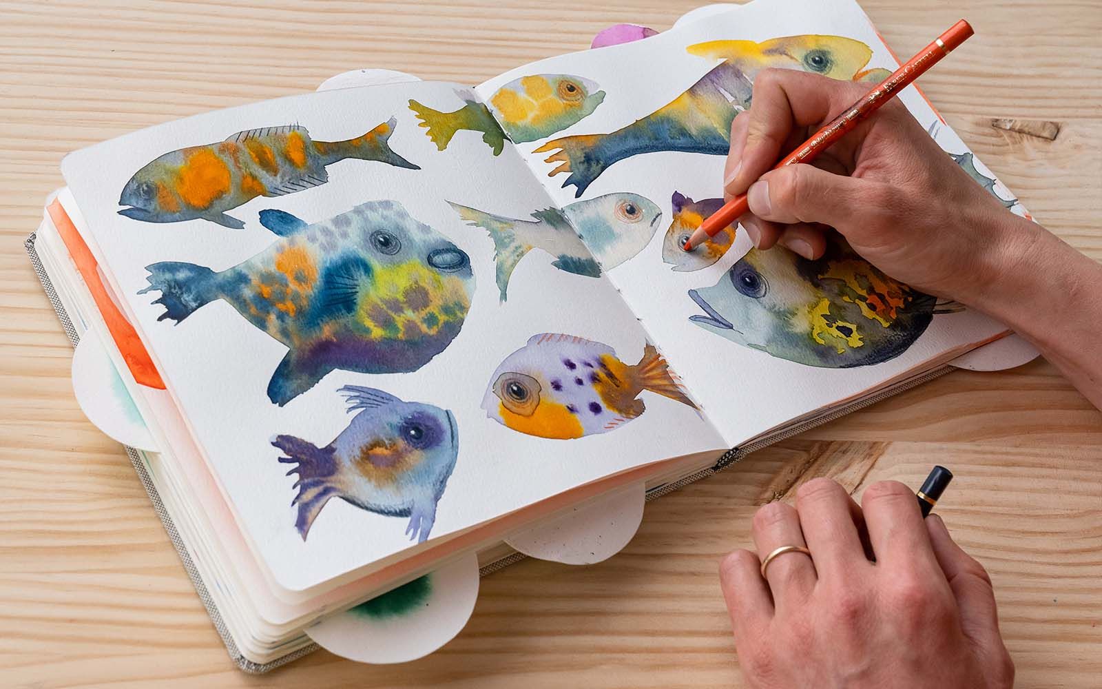 Free PDF Guide to Paint a Color Wheel with Watercolor | Domestika