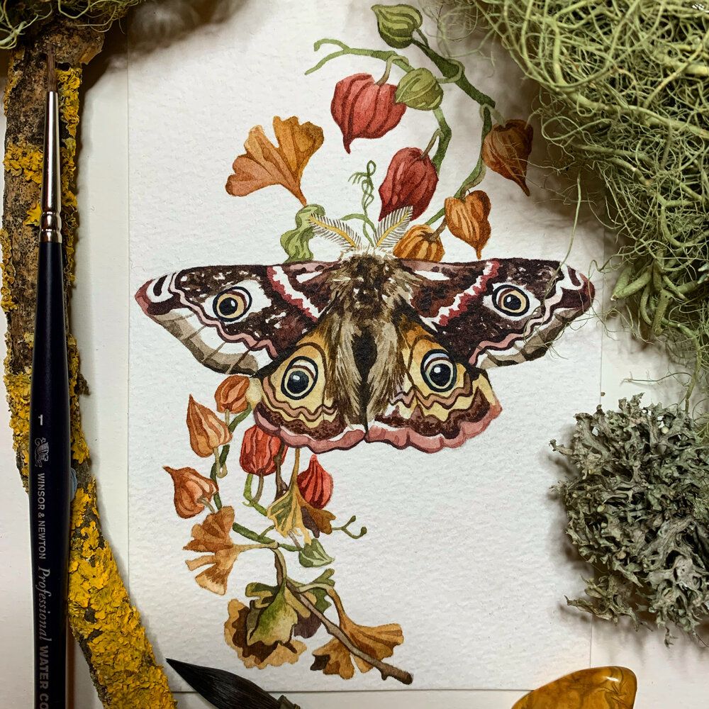 Entomology artworks | Domestika