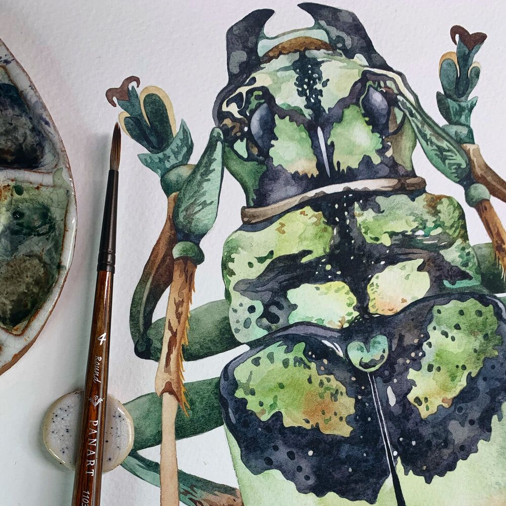 Entomology artworks | Domestika