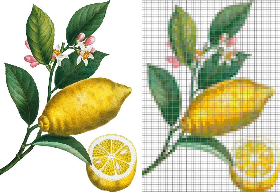 10 Free Tools to Create Your Own Embroidery Patterns | Domestika