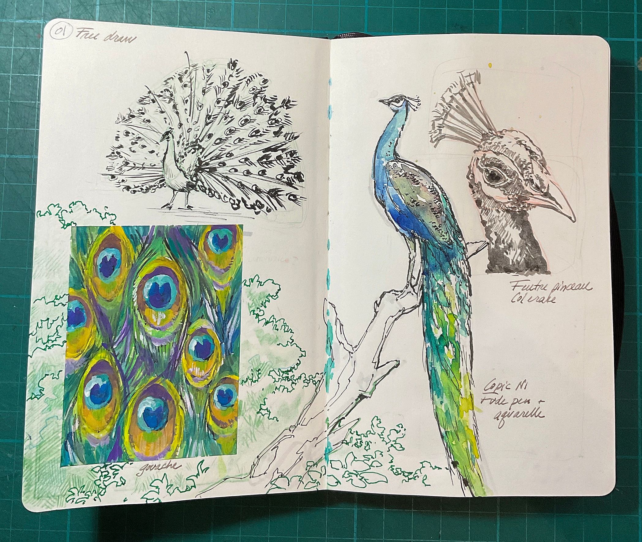 My project for course: Daily Sketching for Creative Inspiration | Domestika