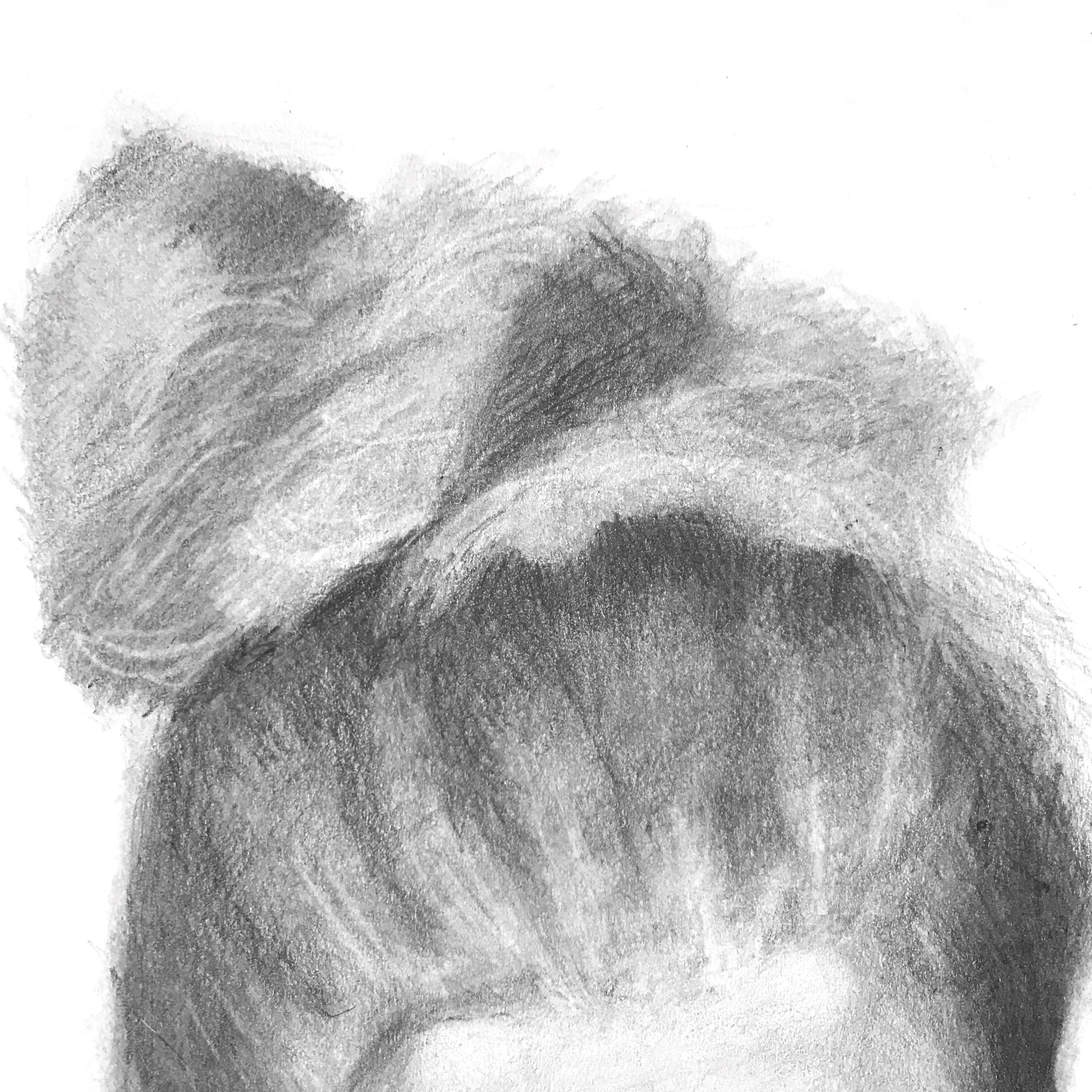 My project for course: Graphite Drawing Techniques for Planar ...