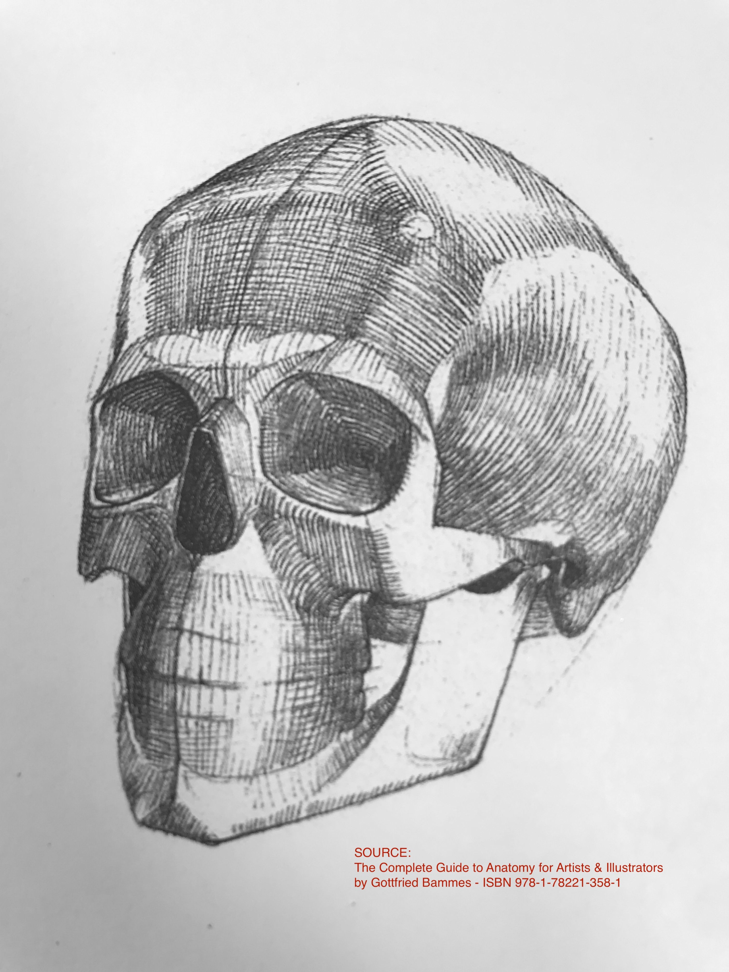 My project for course: Graphite Drawing Techniques for Planar ...