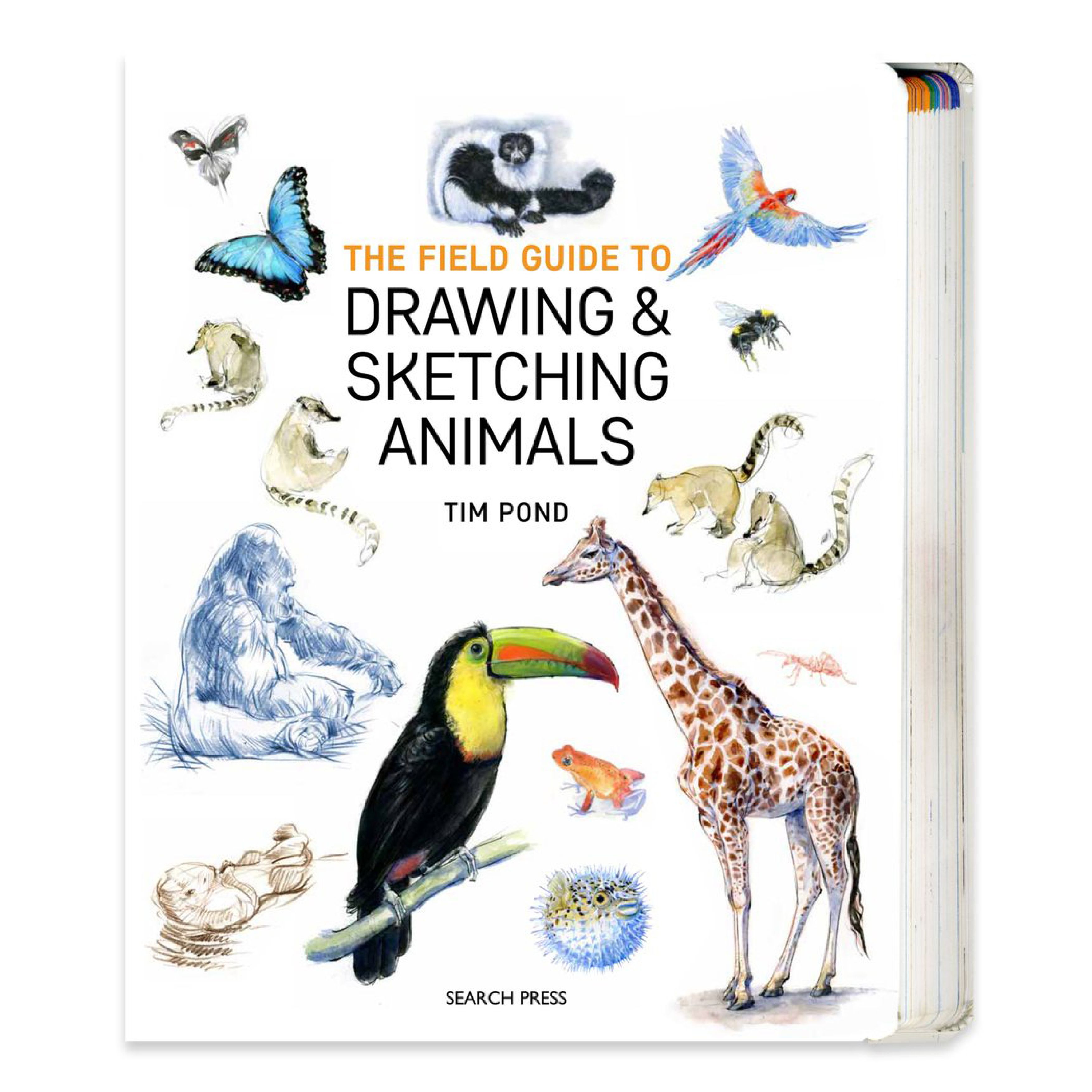 The Field Guide to Drawing & Sketching Animals | Domestika