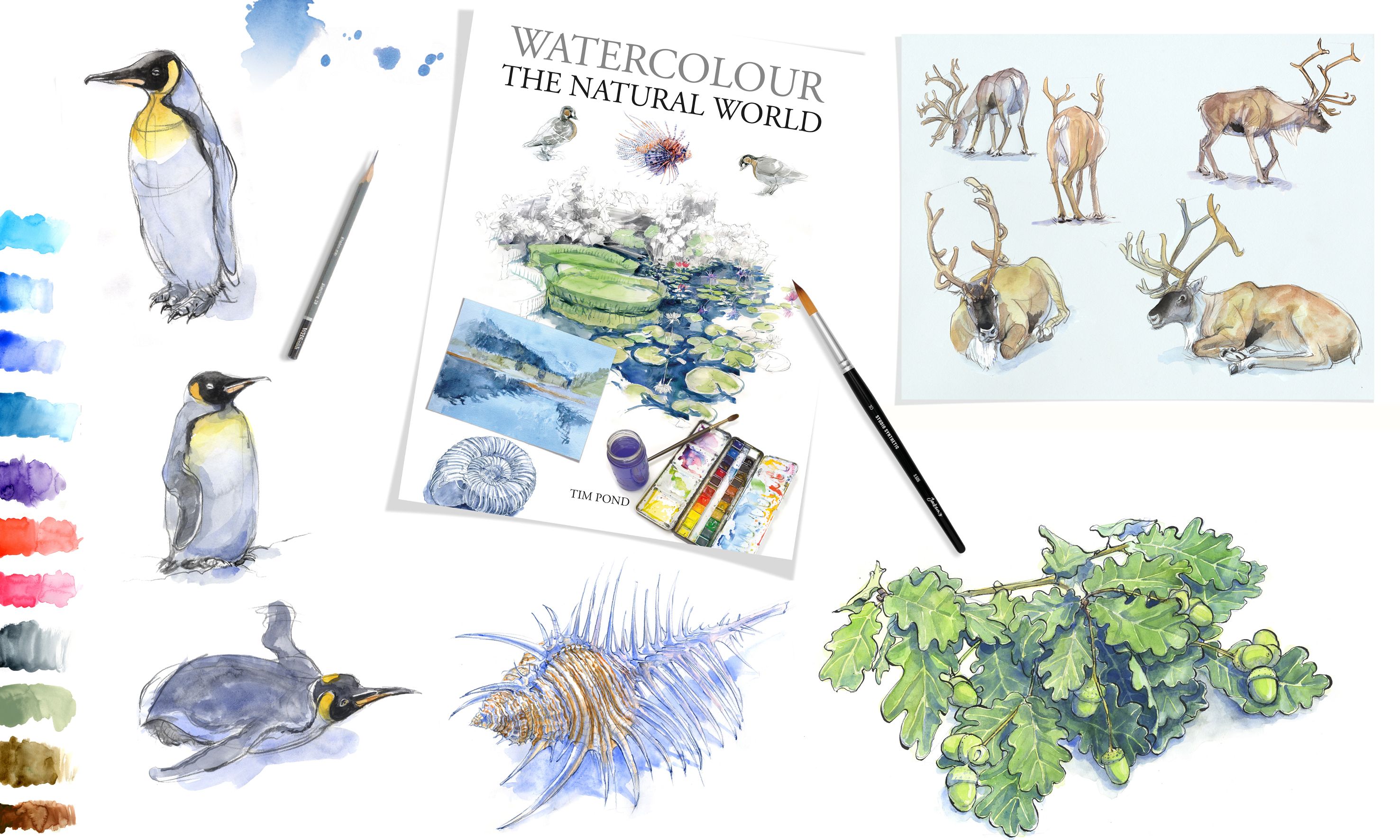 Watercolour the Natural World | Domestika