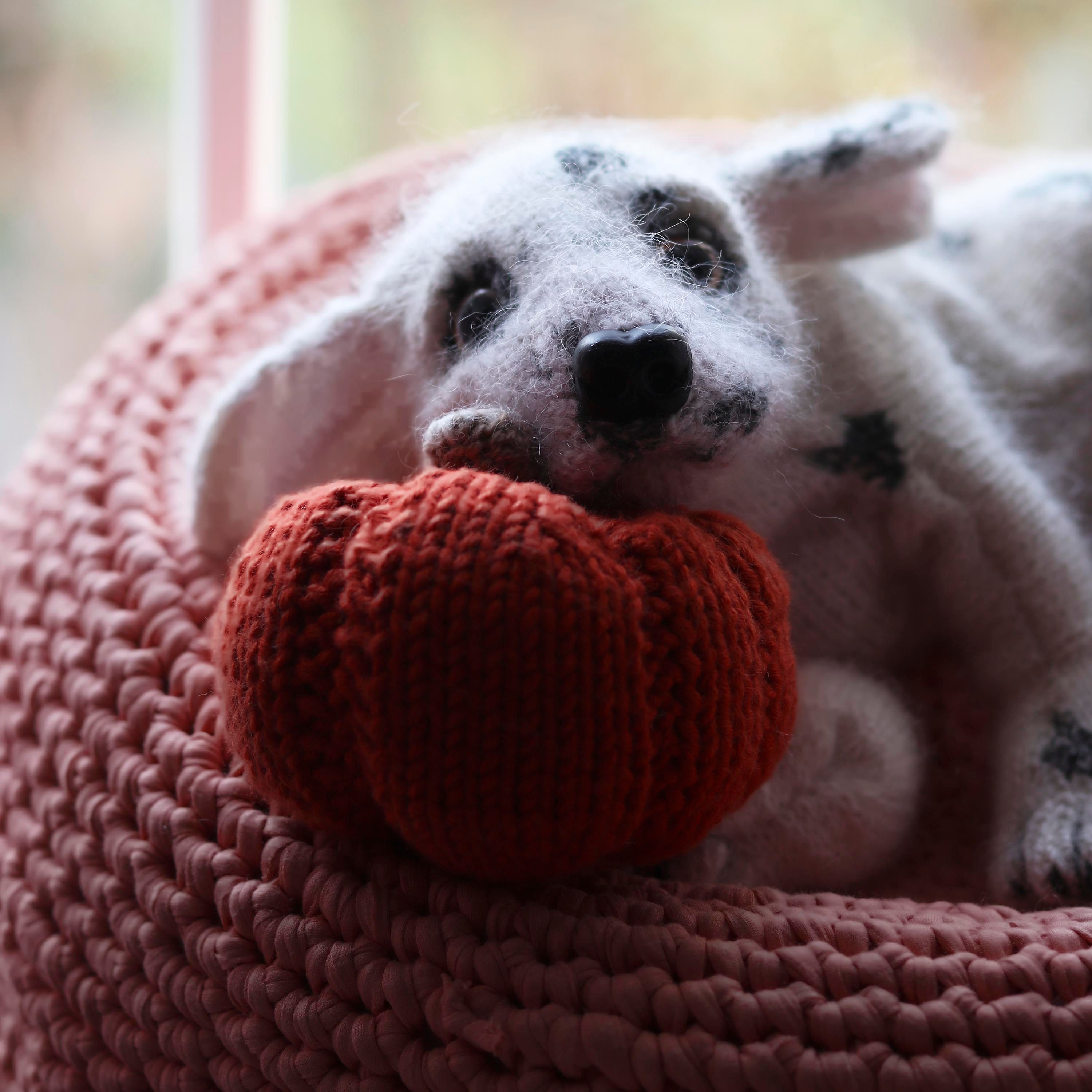 My project for course: Knitting Realistic Stuffed Animals: Make a Puppy ...