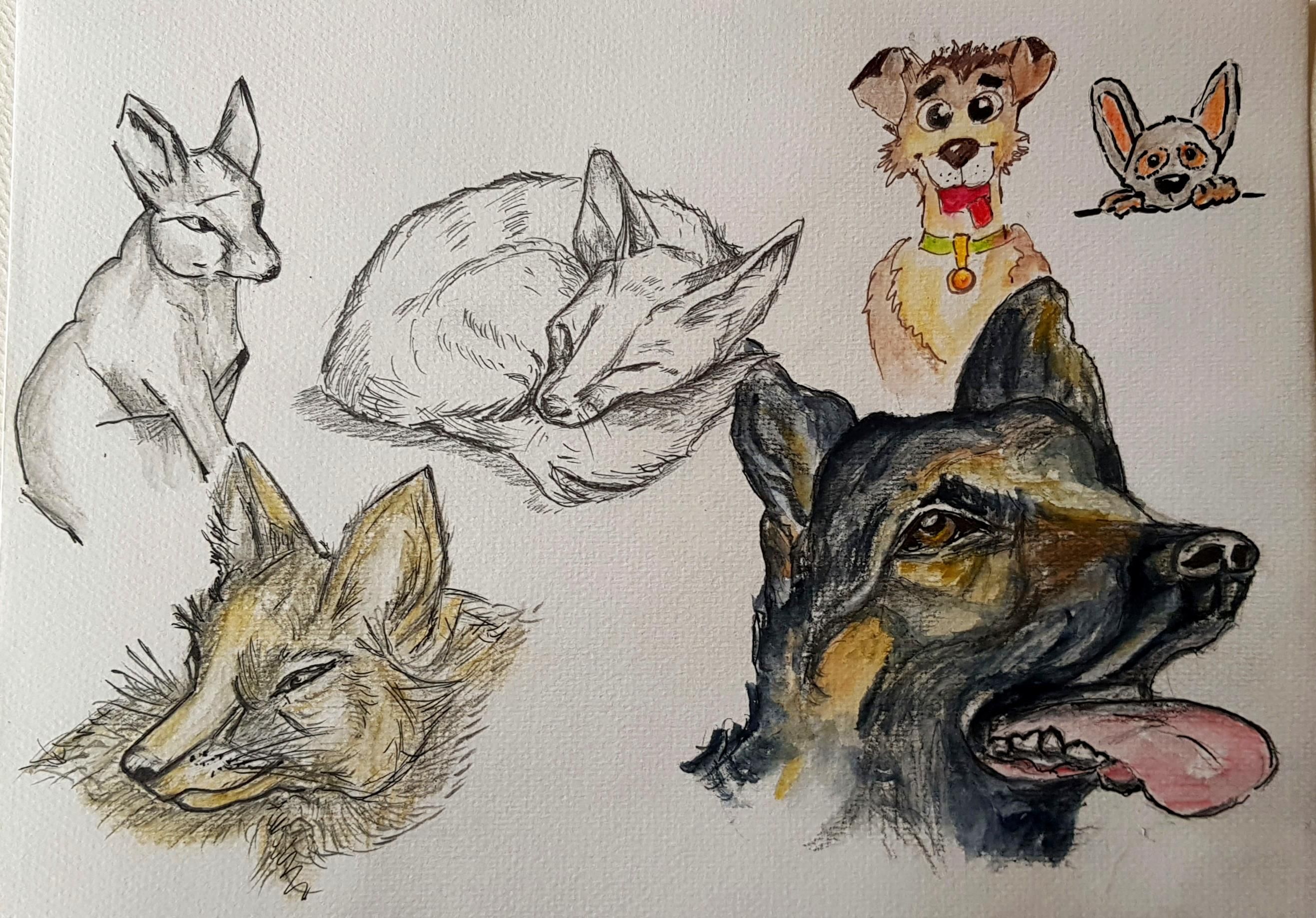 Mi proyecto del curso: Recopilación de lo aprendido con Sorie Kim ...