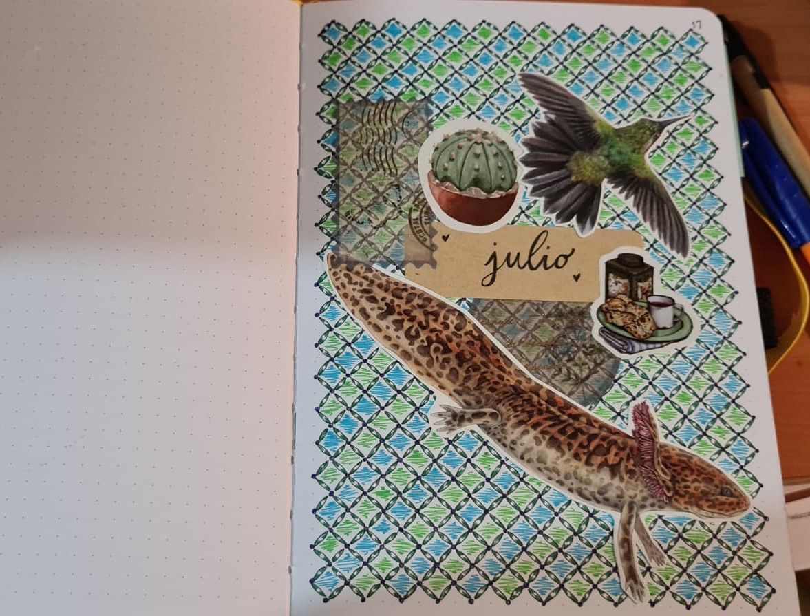 Mi primer Bullet Journal ilustrado | Domestika