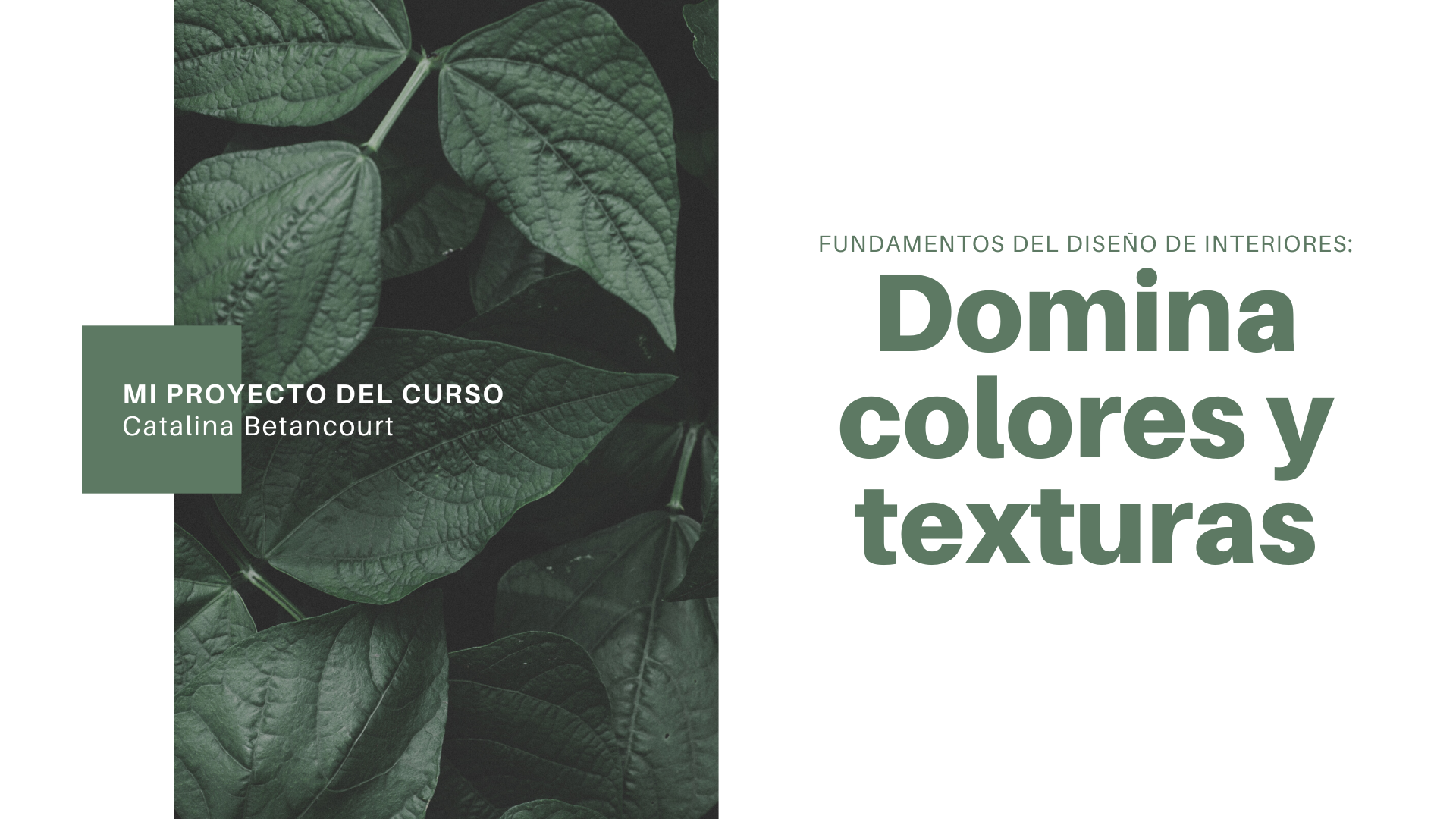 Mi proyecto del curso: Domina colores y texturas | Domestika