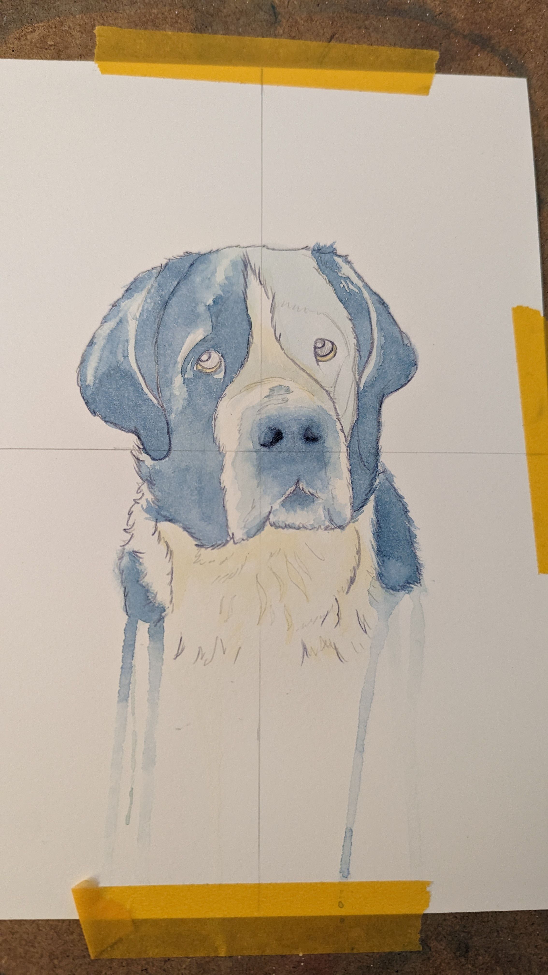 My project for course: Expressive Animal Portraits in Watercolor ...