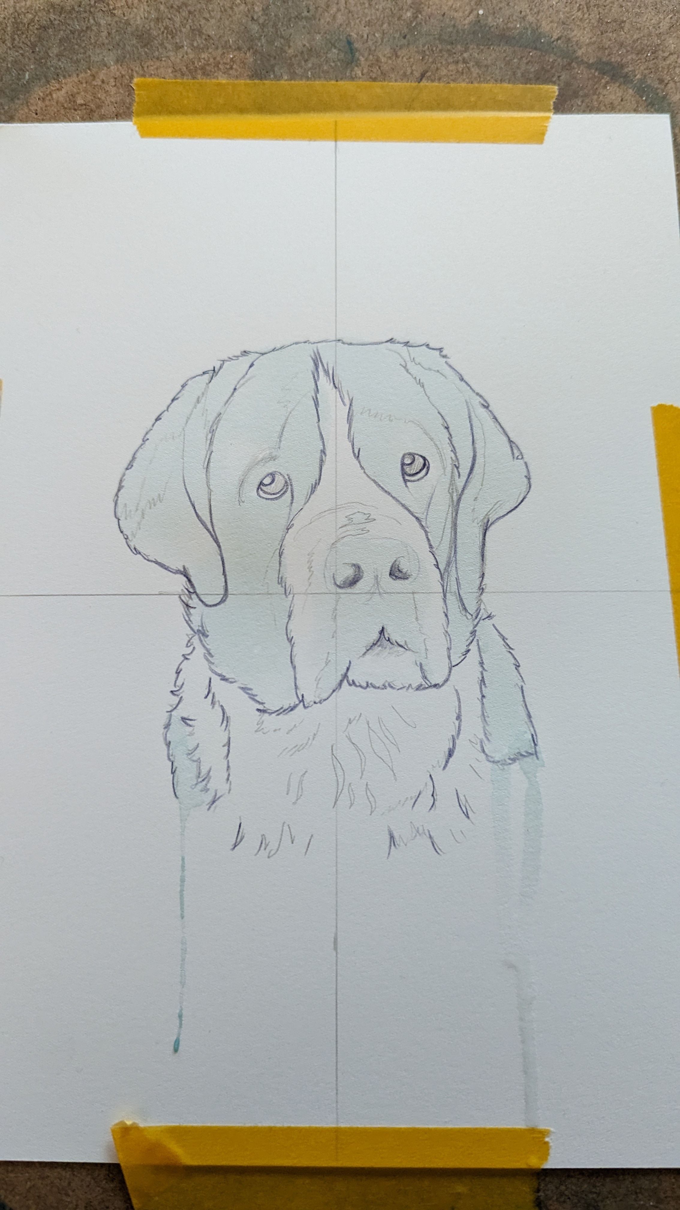 My project for course: Expressive Animal Portraits in Watercolor ...