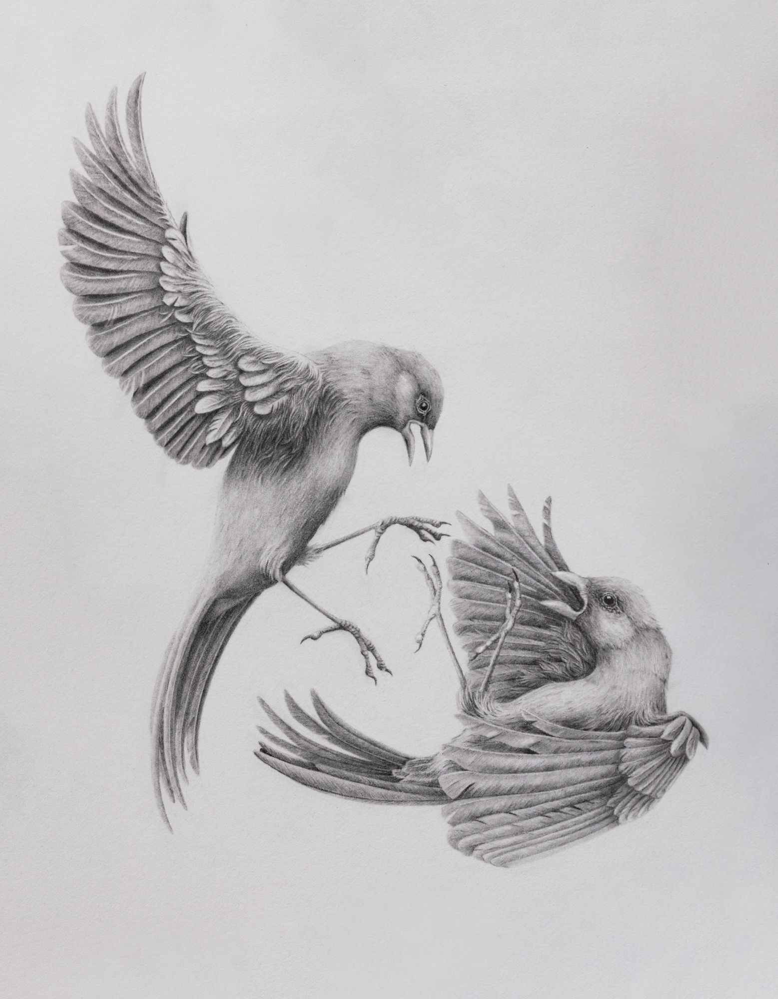 𝘛𝘰𝘳𝘮𝘦𝘯𝘵 | Naturalistic Animal Drawing with Graphite Pencil | Domestika