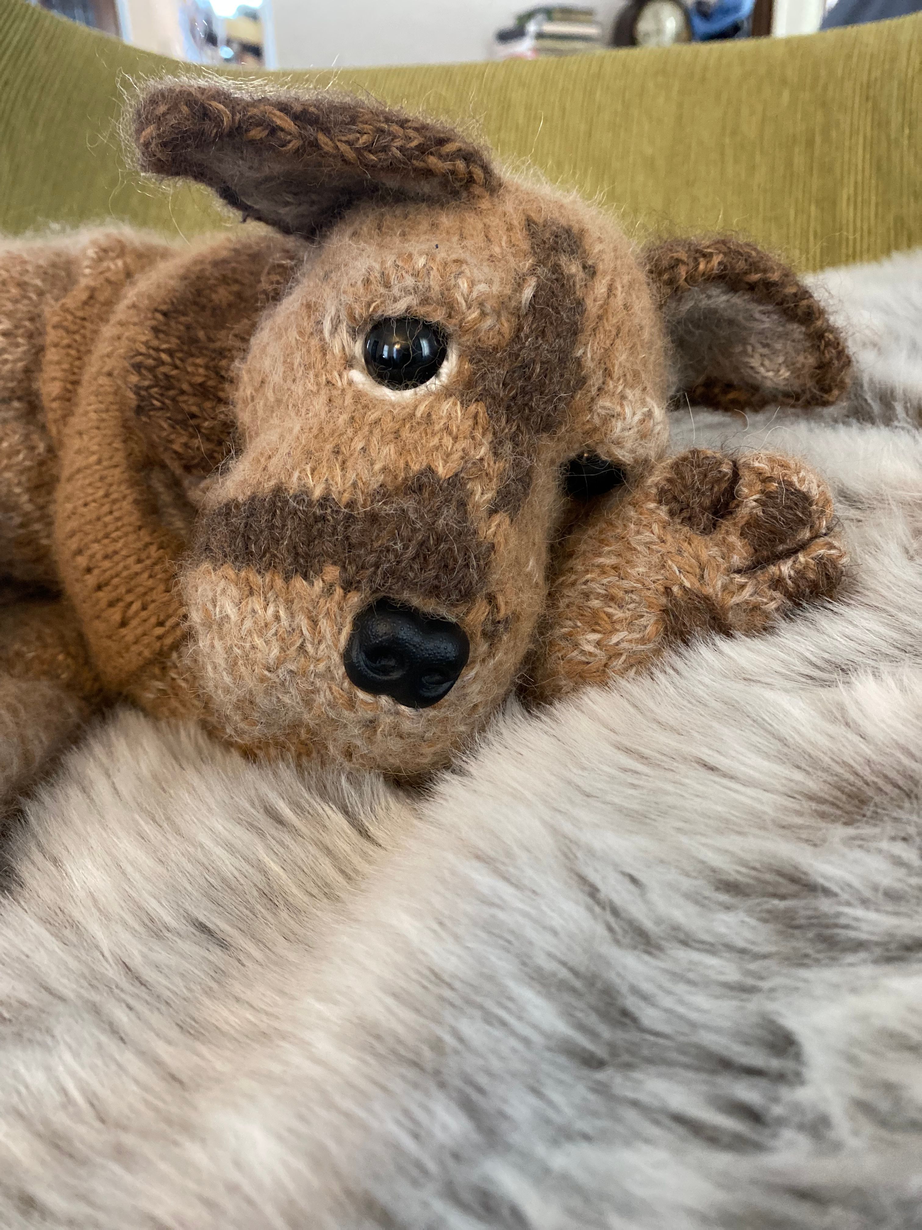 My project for course: Knitting Realistic Stuffed Animals: Make a Puppy ...