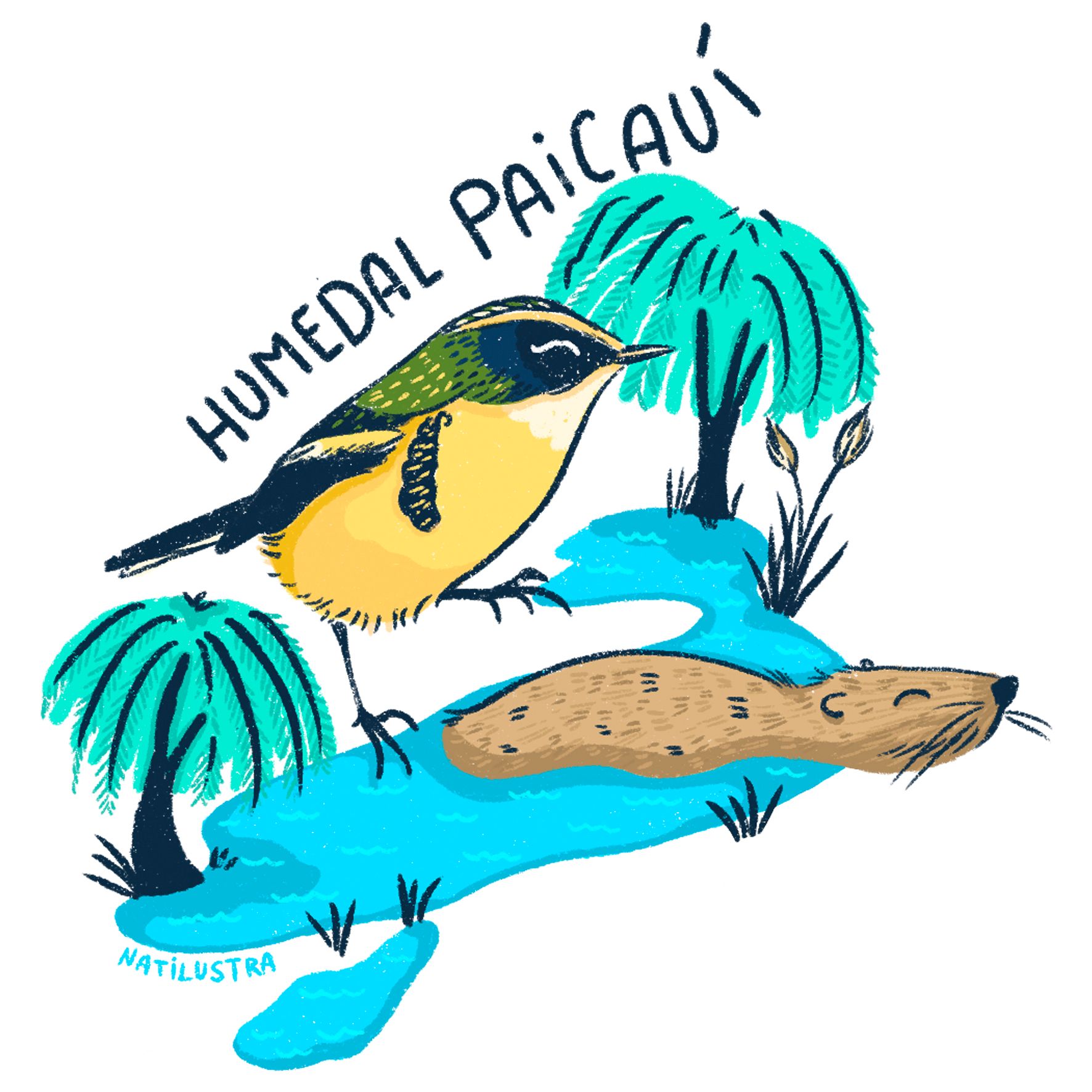 Ilustración, Mapa Turistico Lacustre Concepción, Chile. | Domestika