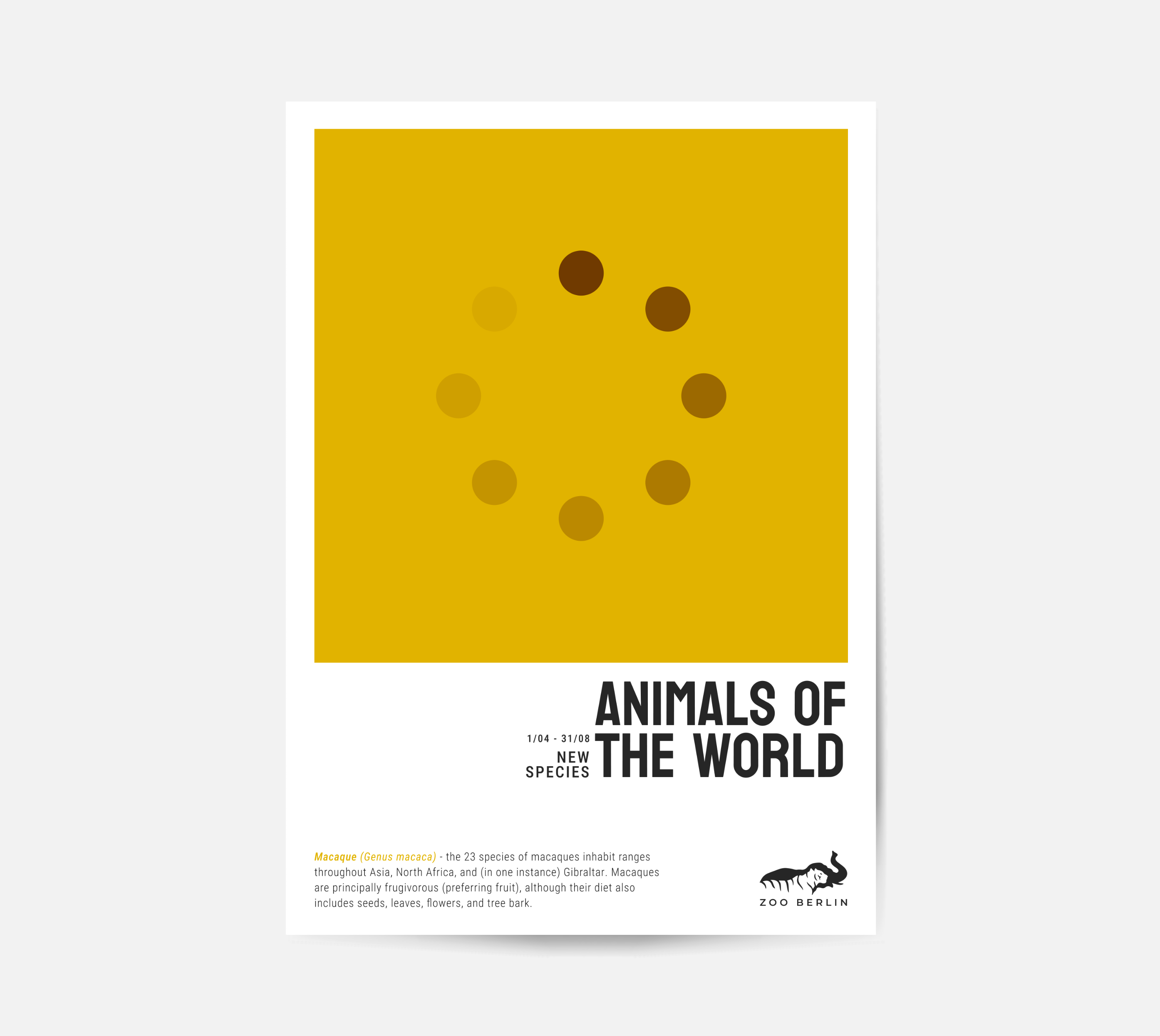 Animals characters. ZOO street posters | Domestika