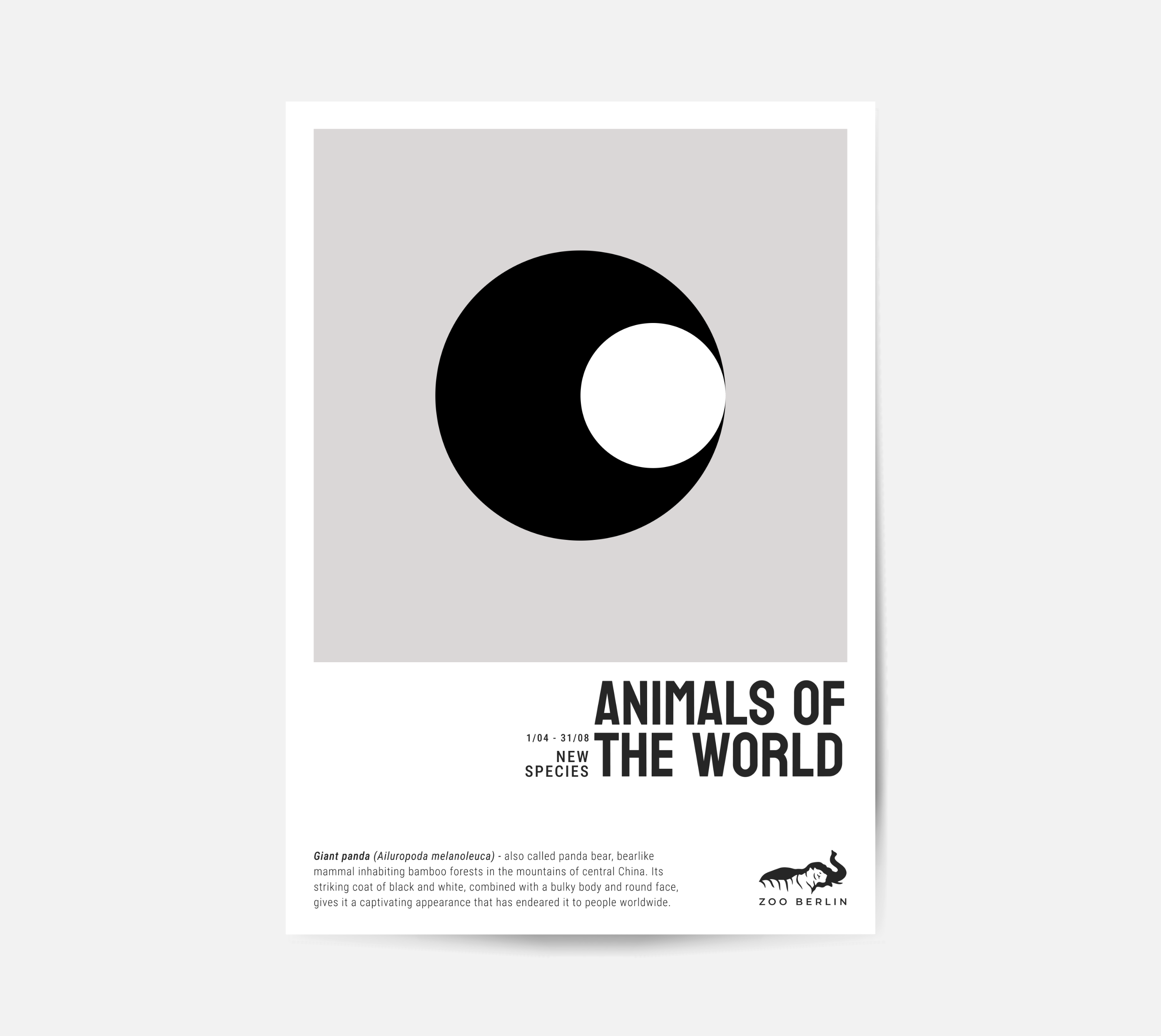 Animals characters. ZOO street posters | Domestika