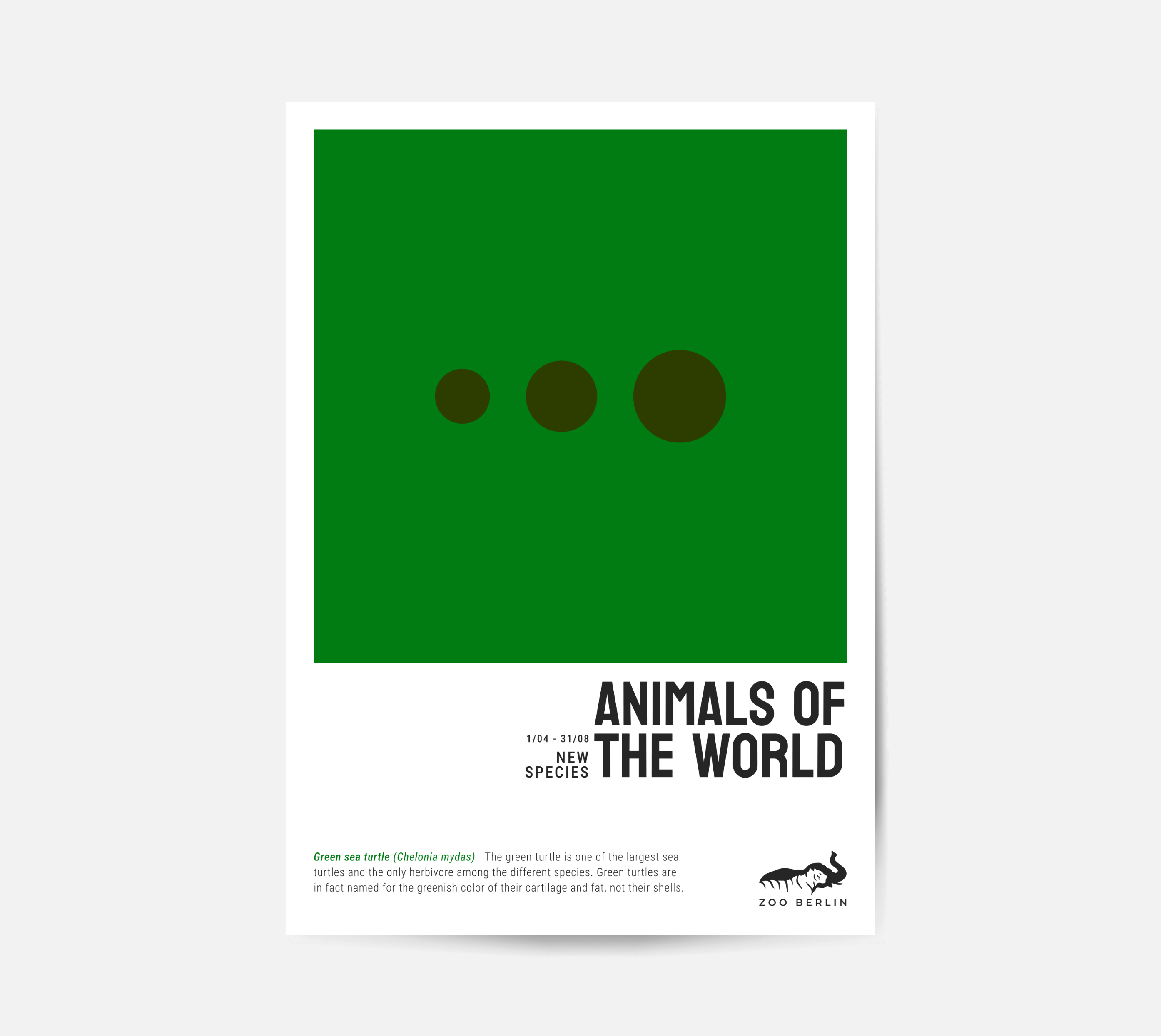 Animals characters. ZOO street posters | Domestika