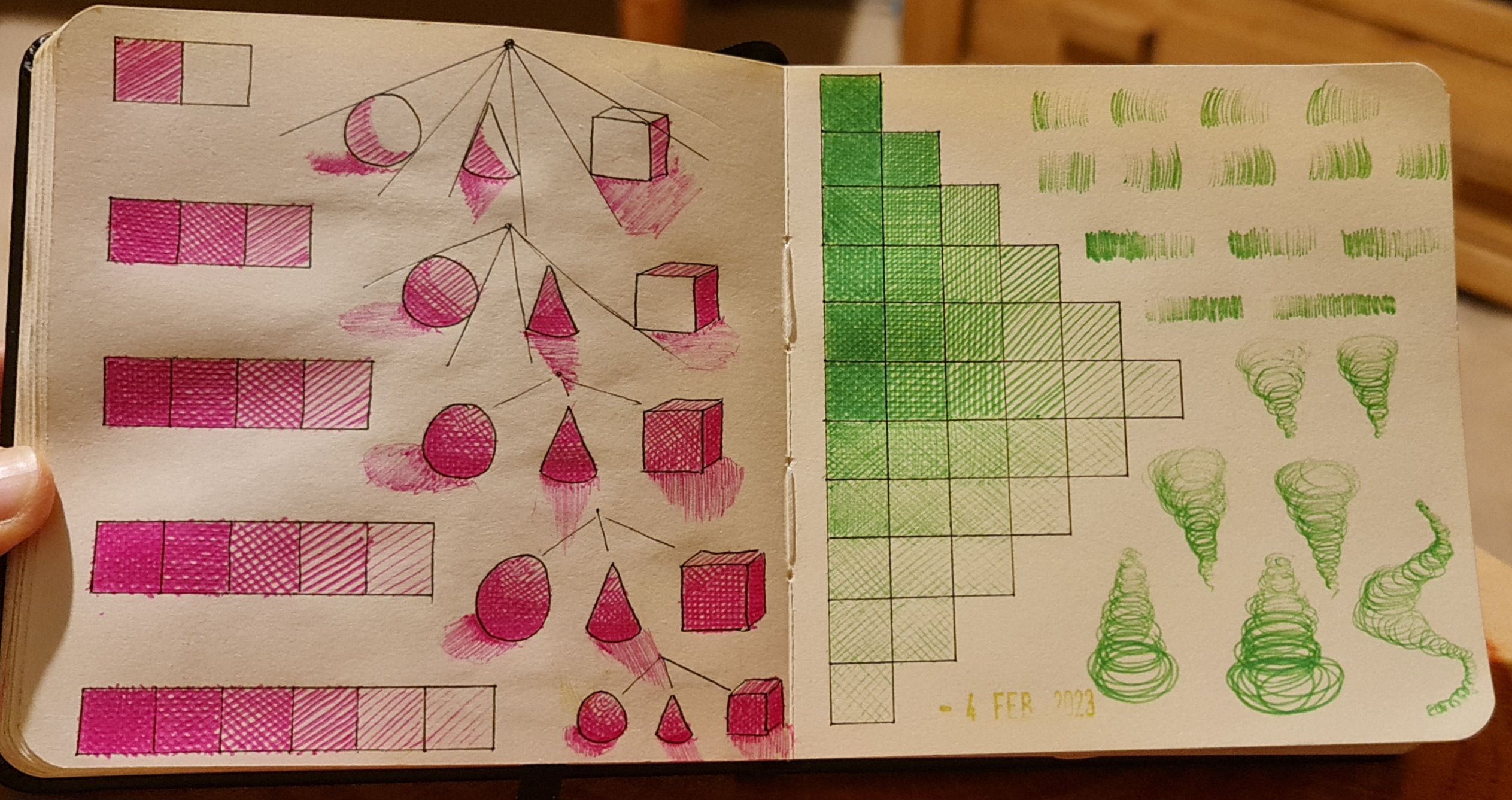 My project for course: Naturalist Illustration with Ballpoint Pen ...