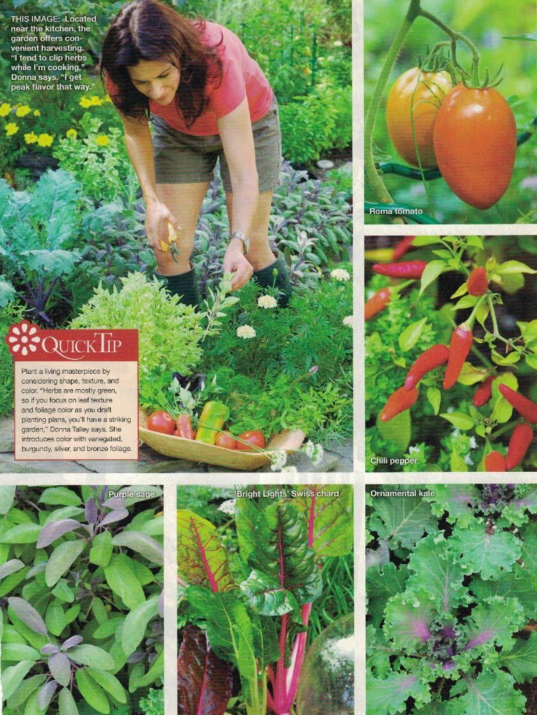 Small Kitchen Garden Design | Domestika