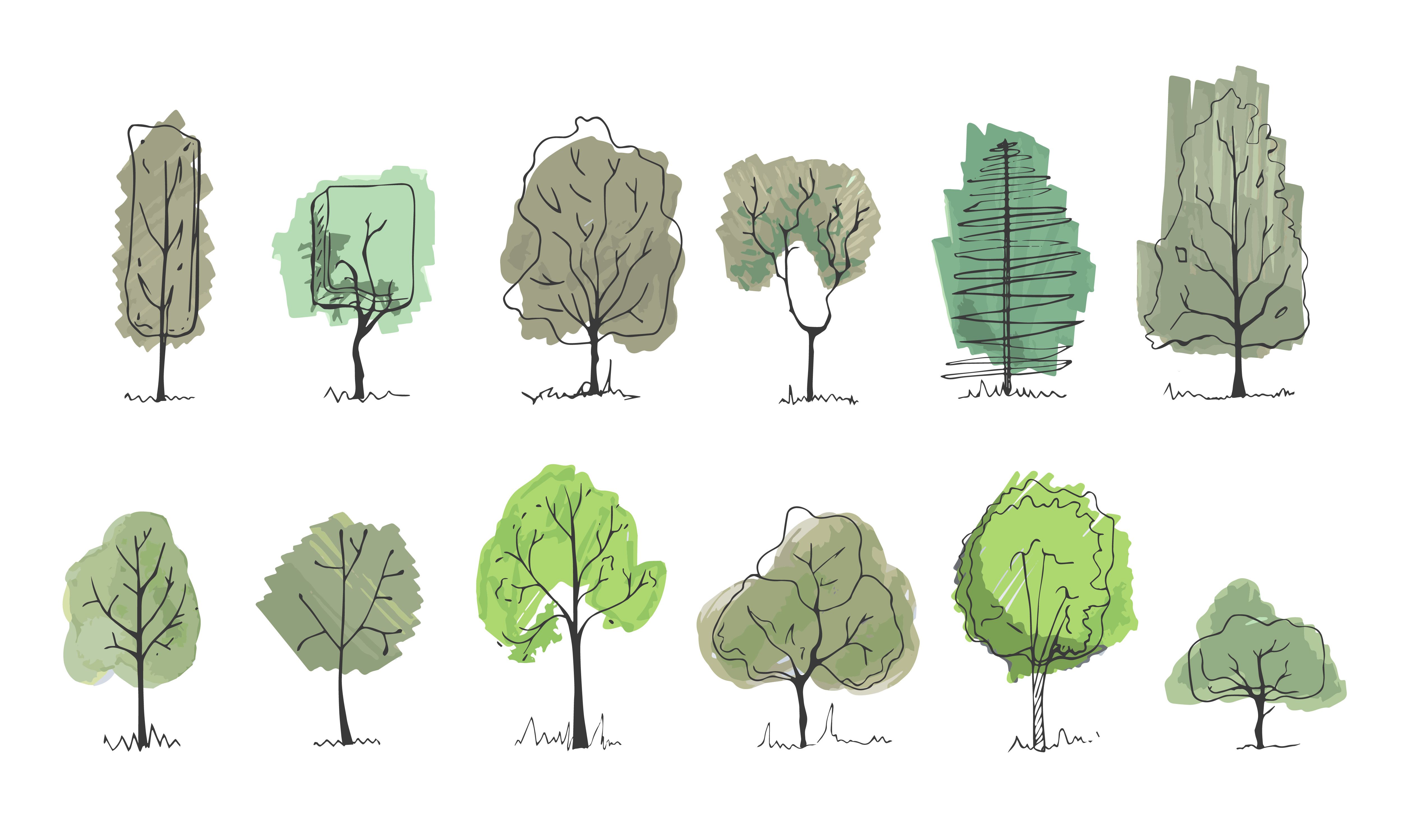 5 easy things to Draw for beginners | Domestika